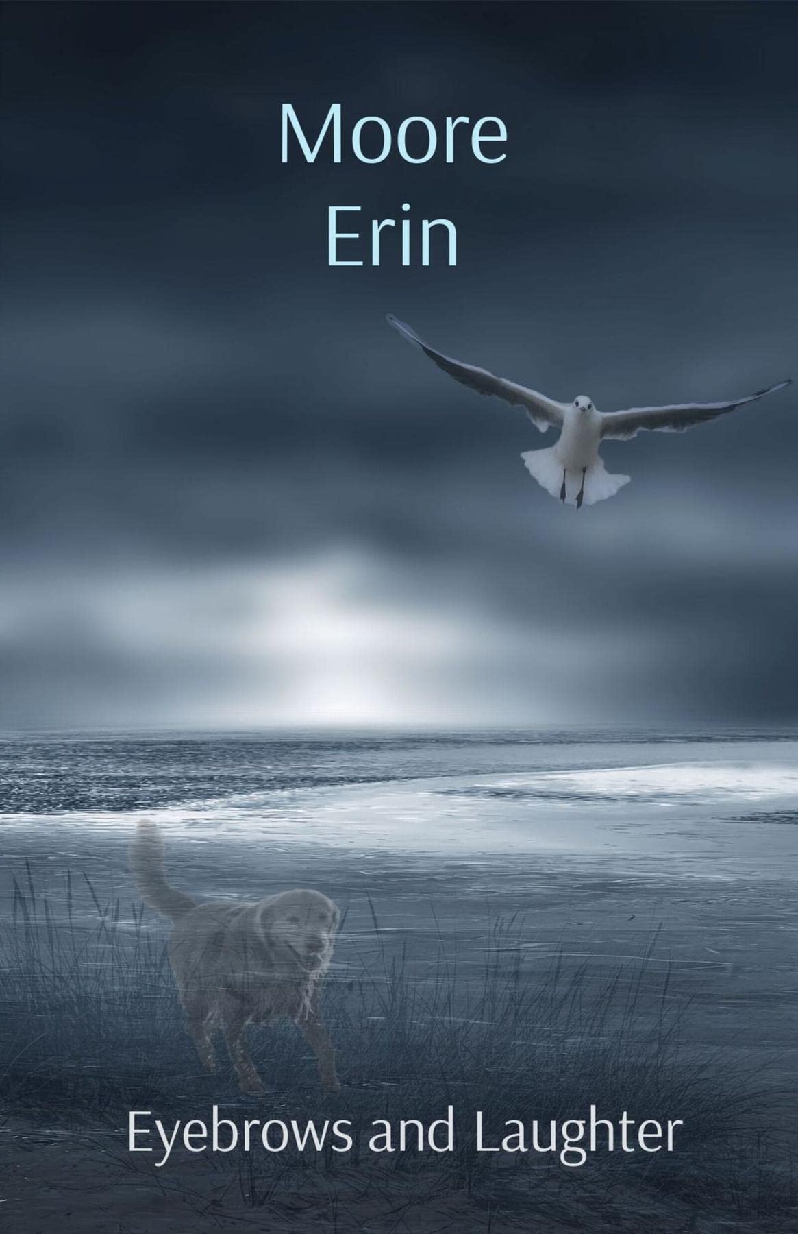 Eyebrows and Laughter by M Moore, Erin | Goodreads