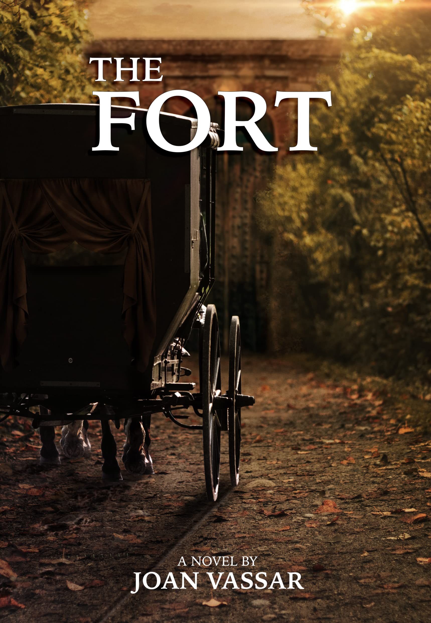 The Fort (The Black #5) by Joan Vassar | Goodreads