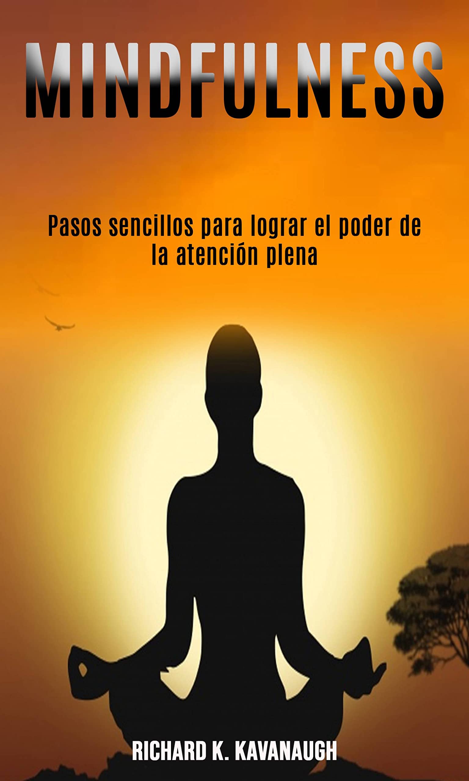 Mindfulness: Pasos sencillos para lograr el poder de la atención plena ...