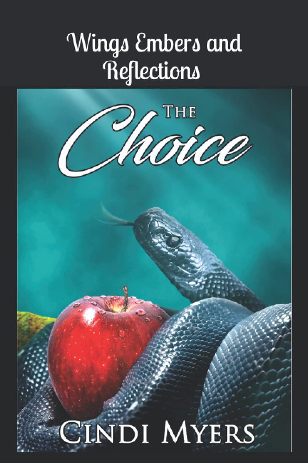 The Choice by Cindi Myers | Goodreads