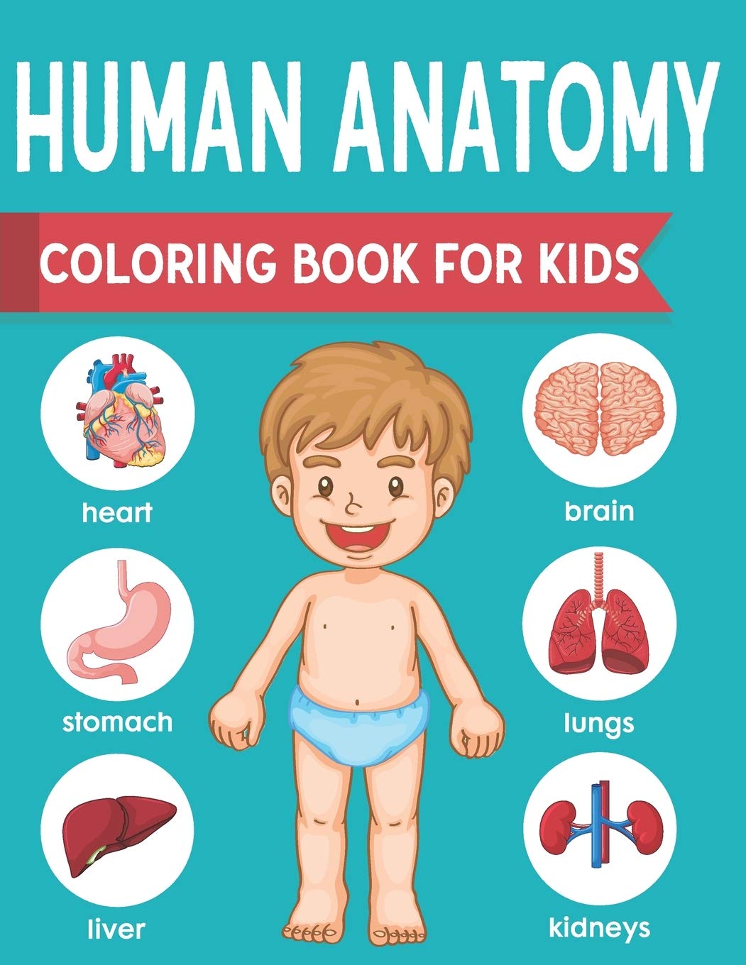 Human Anatomy Coloring Book For Kids: an Entertaining and Instructive ...