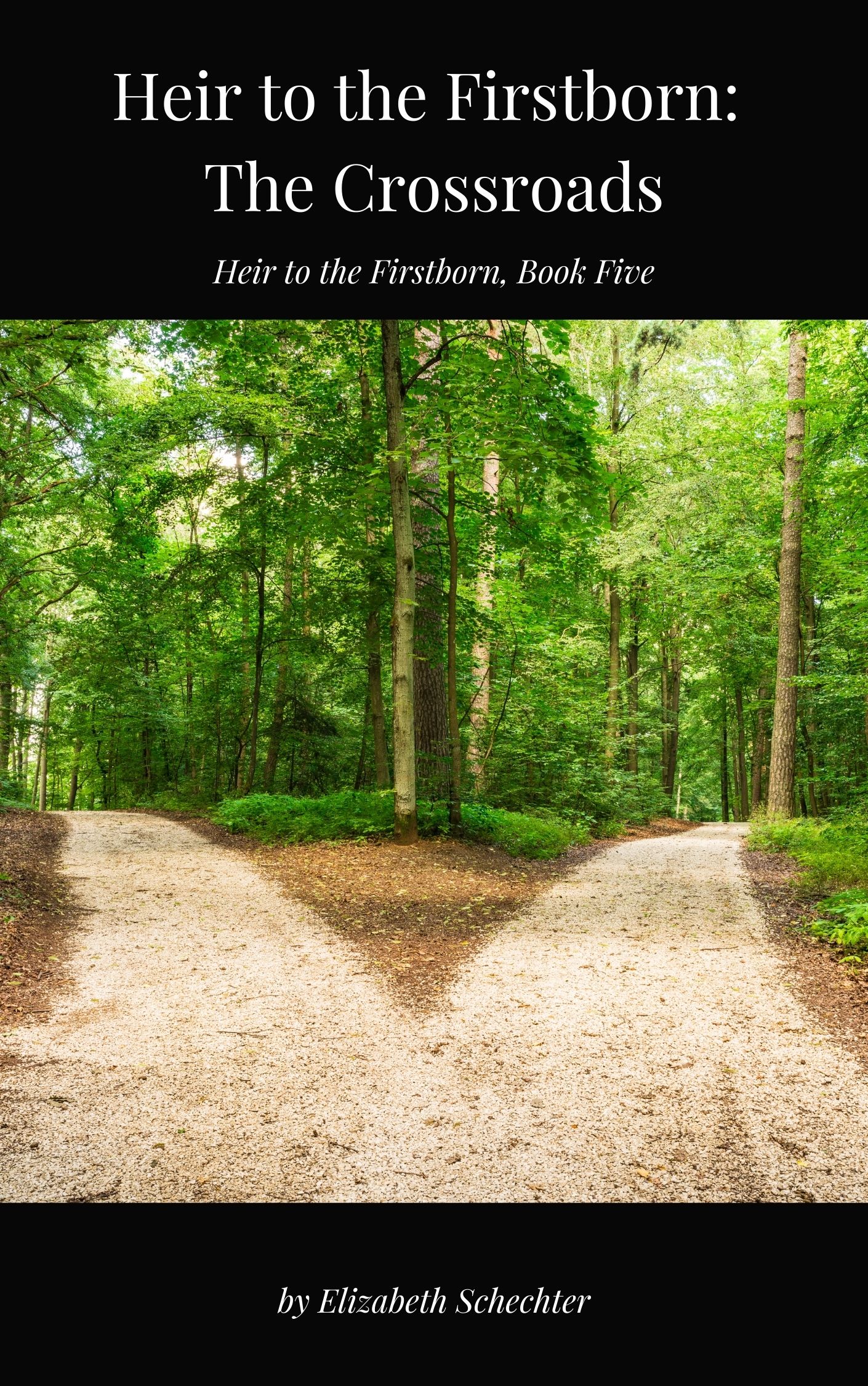 Heir to the Firstborn: The Crossroads by Elizabeth Schechter | Goodreads