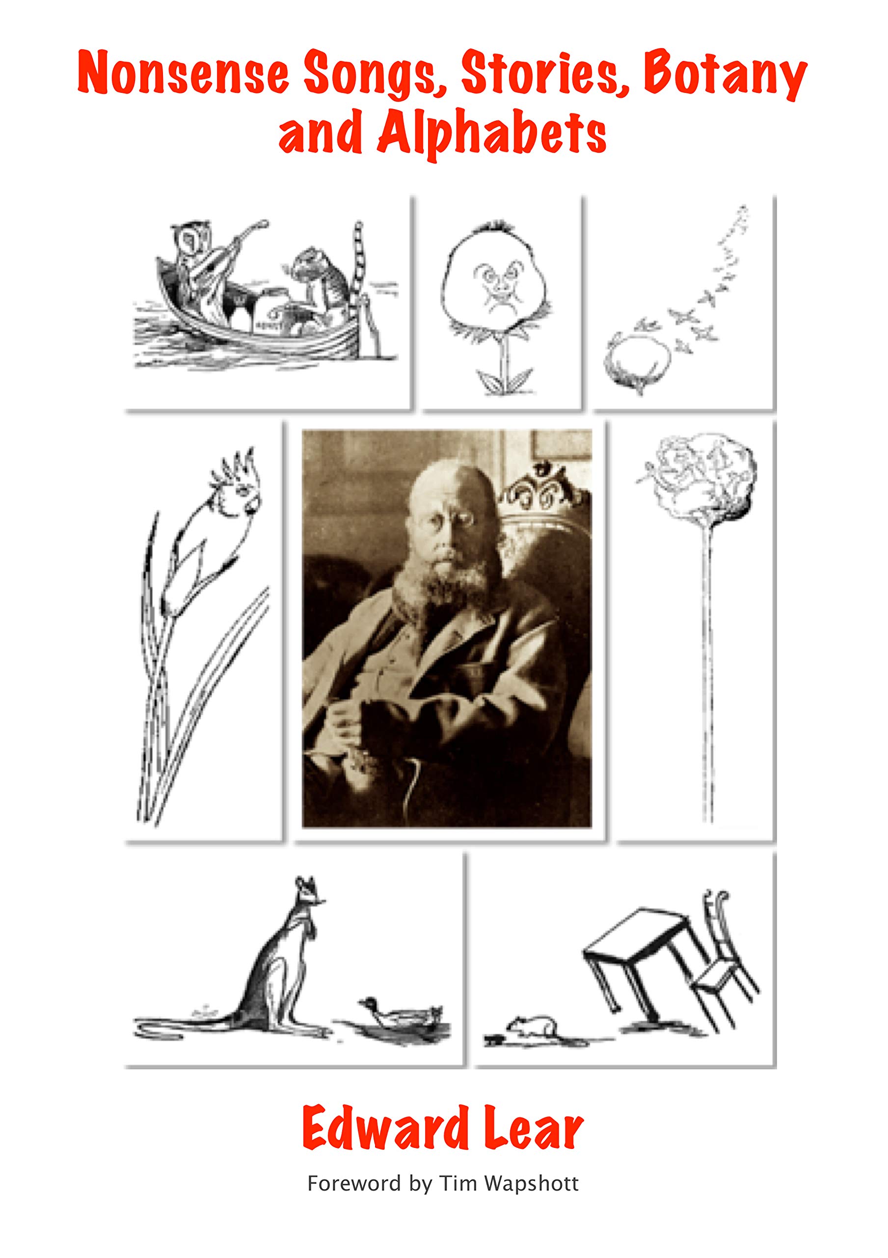 Edward Lear's Nonsense Songs, Stories, Botany and Alphabets by Edward ...