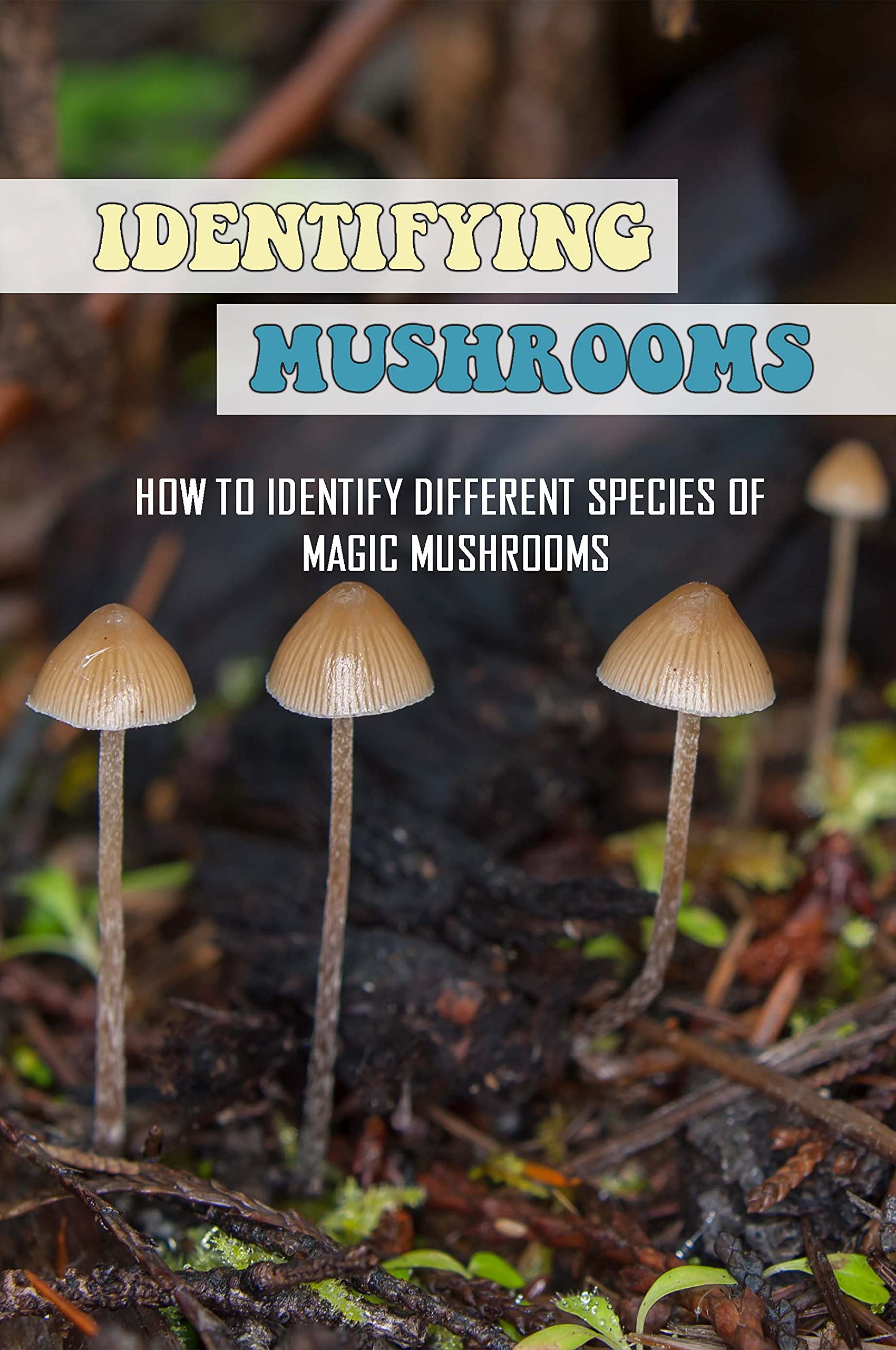 Identifying Mushrooms: How To Identify Different Species Of Magic ...