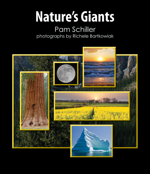 Nature's Giants by Pam Schiller | Goodreads
