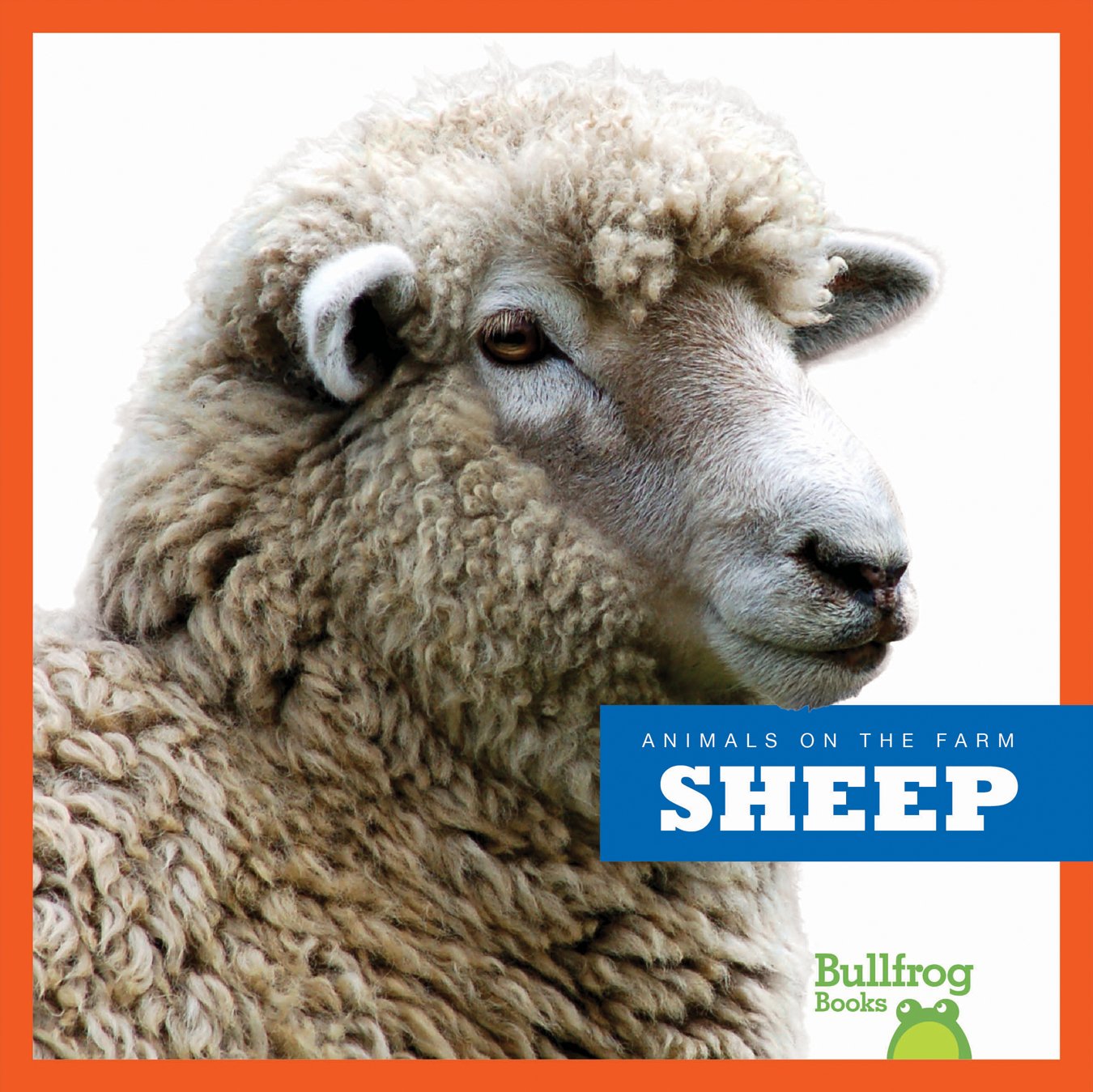 Sheep (Bullfrog Books: Animals on the Farm) by Wendy Strobel Dieker ...