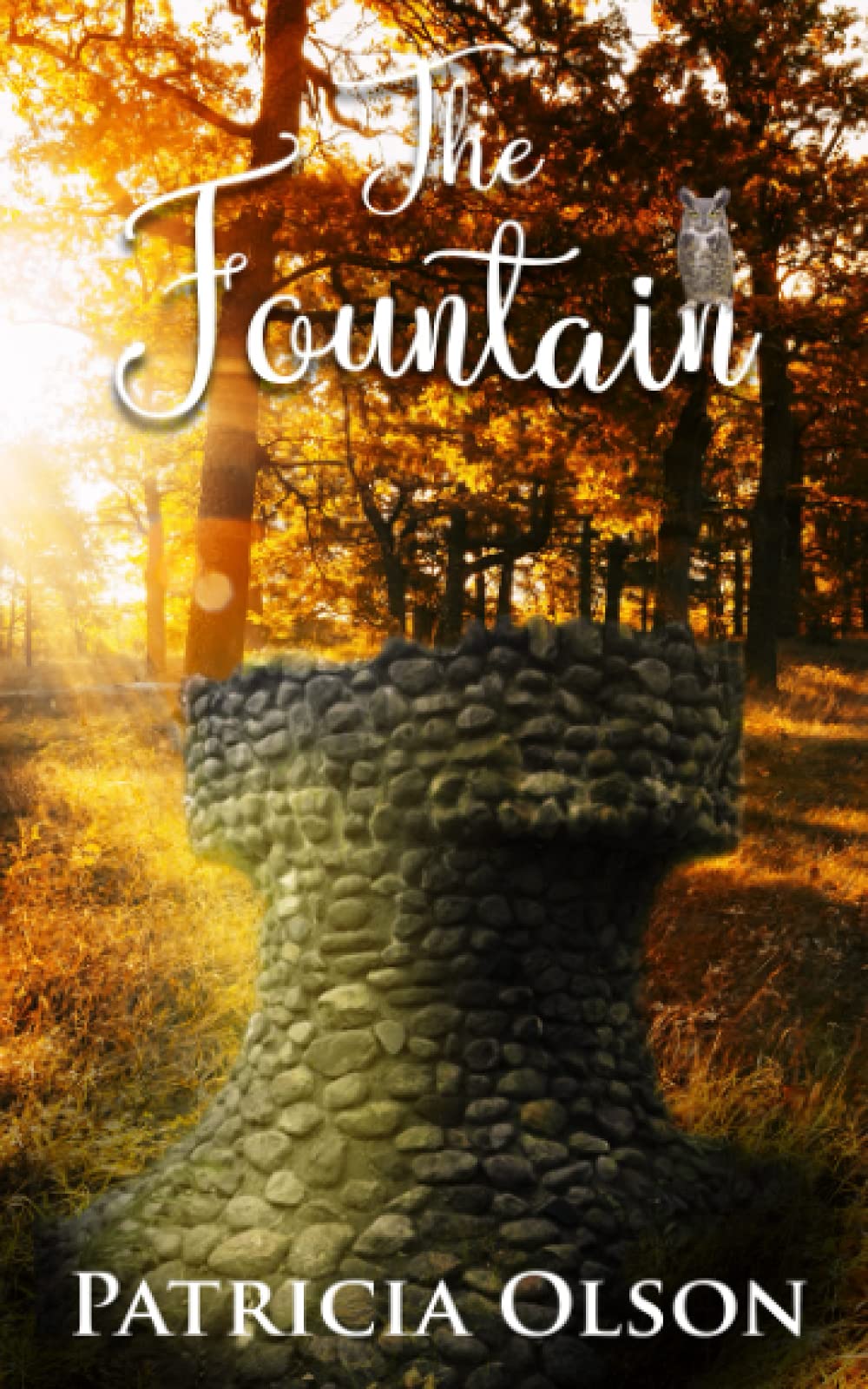 The Fountain by Patricia Olson | Goodreads