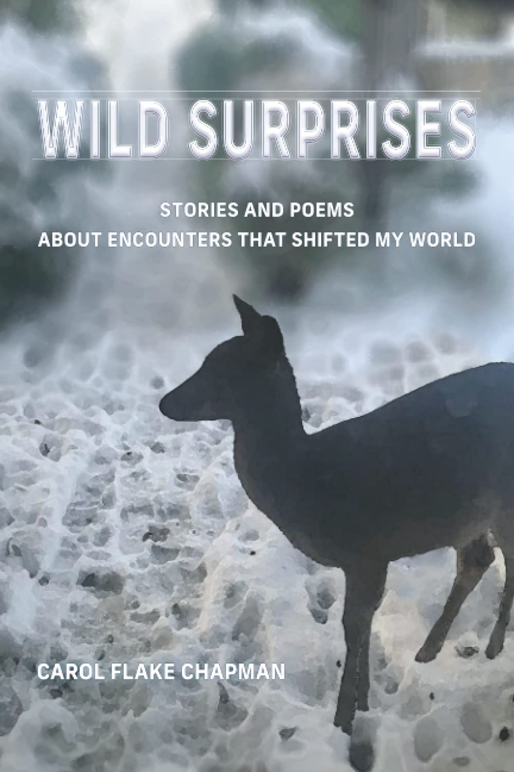 Wild Surprises: Stories and Poems About Encounters That Shifted My ...