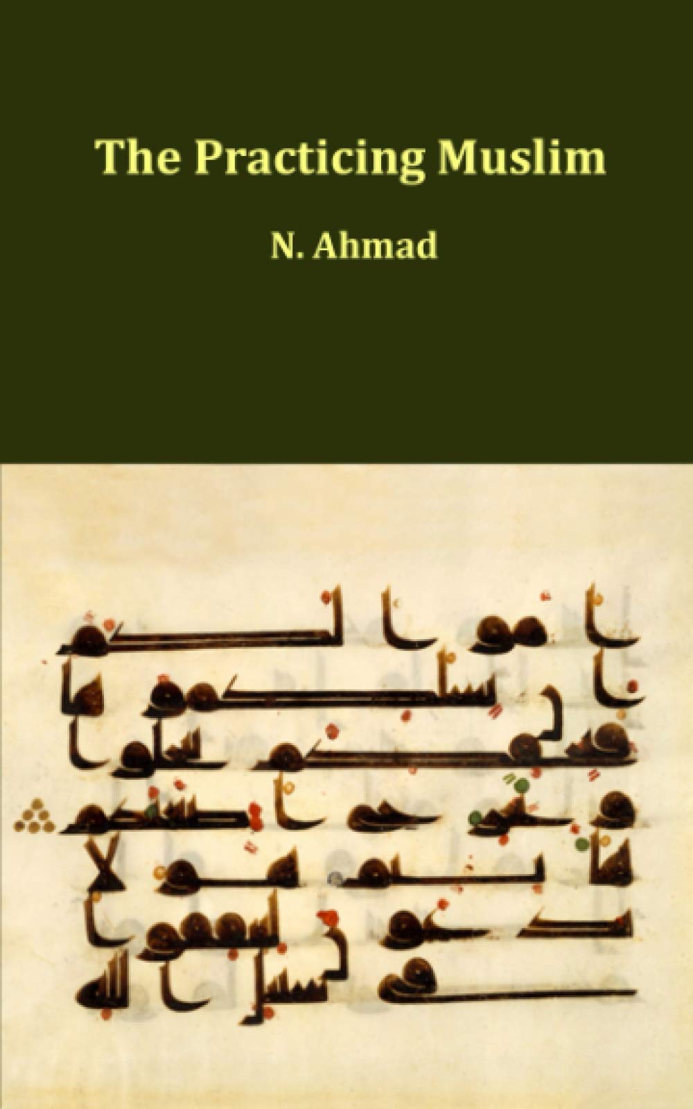 The Practicing Muslim by N. Ahmad | Goodreads
