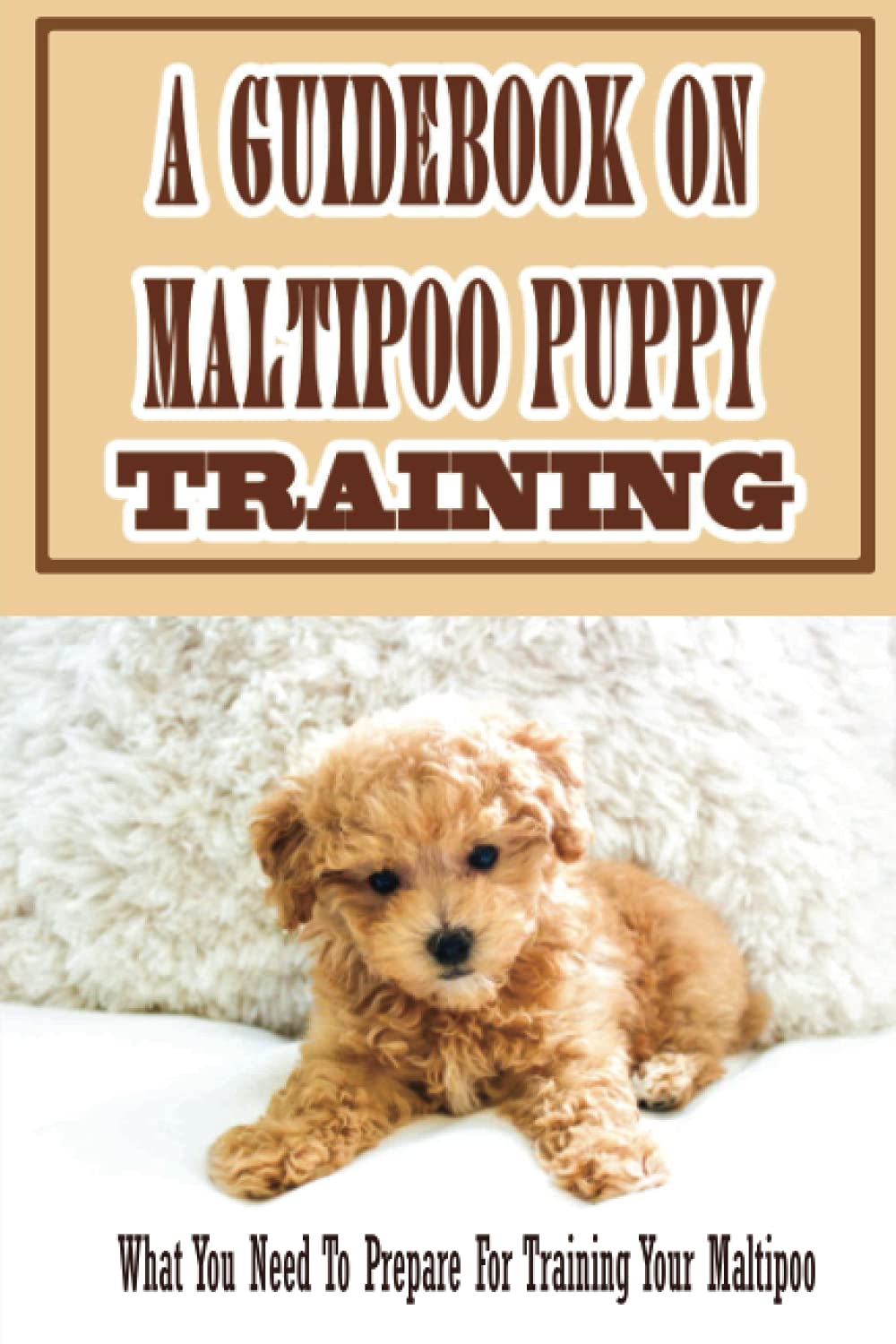 A Guidebook On Maltipoo Puppy Training: What You Need To Prepare For ...