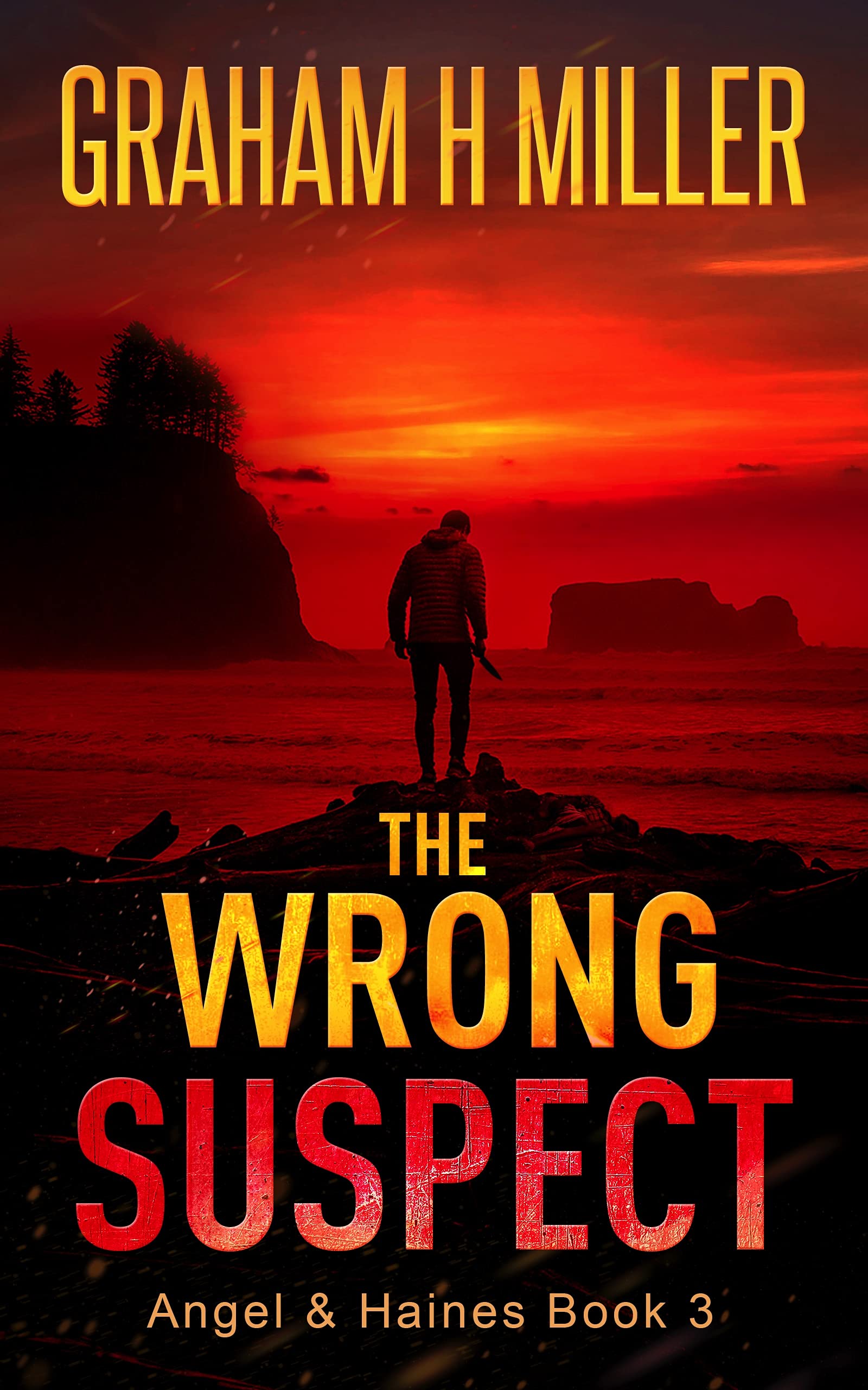 The Wrong Suspect: A compelling mystery with a strong female detective ...