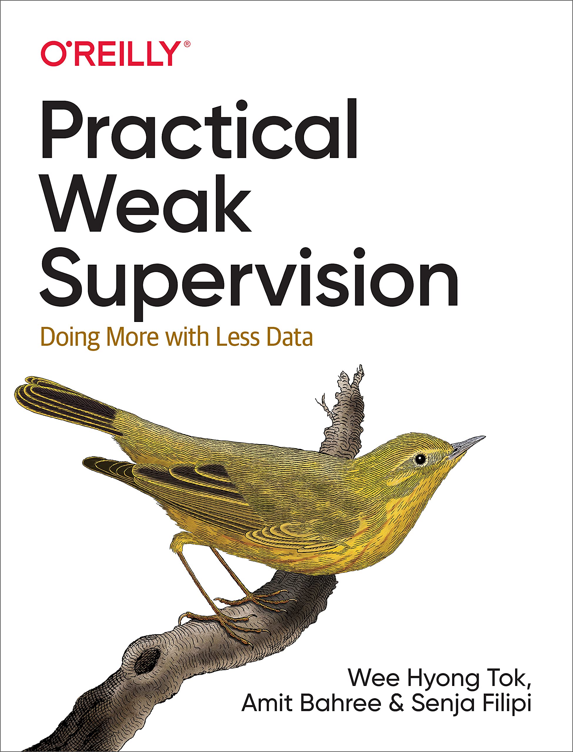 Practical Weak Supervision: Doing More with Less Data by Wee Hyong Tok ...
