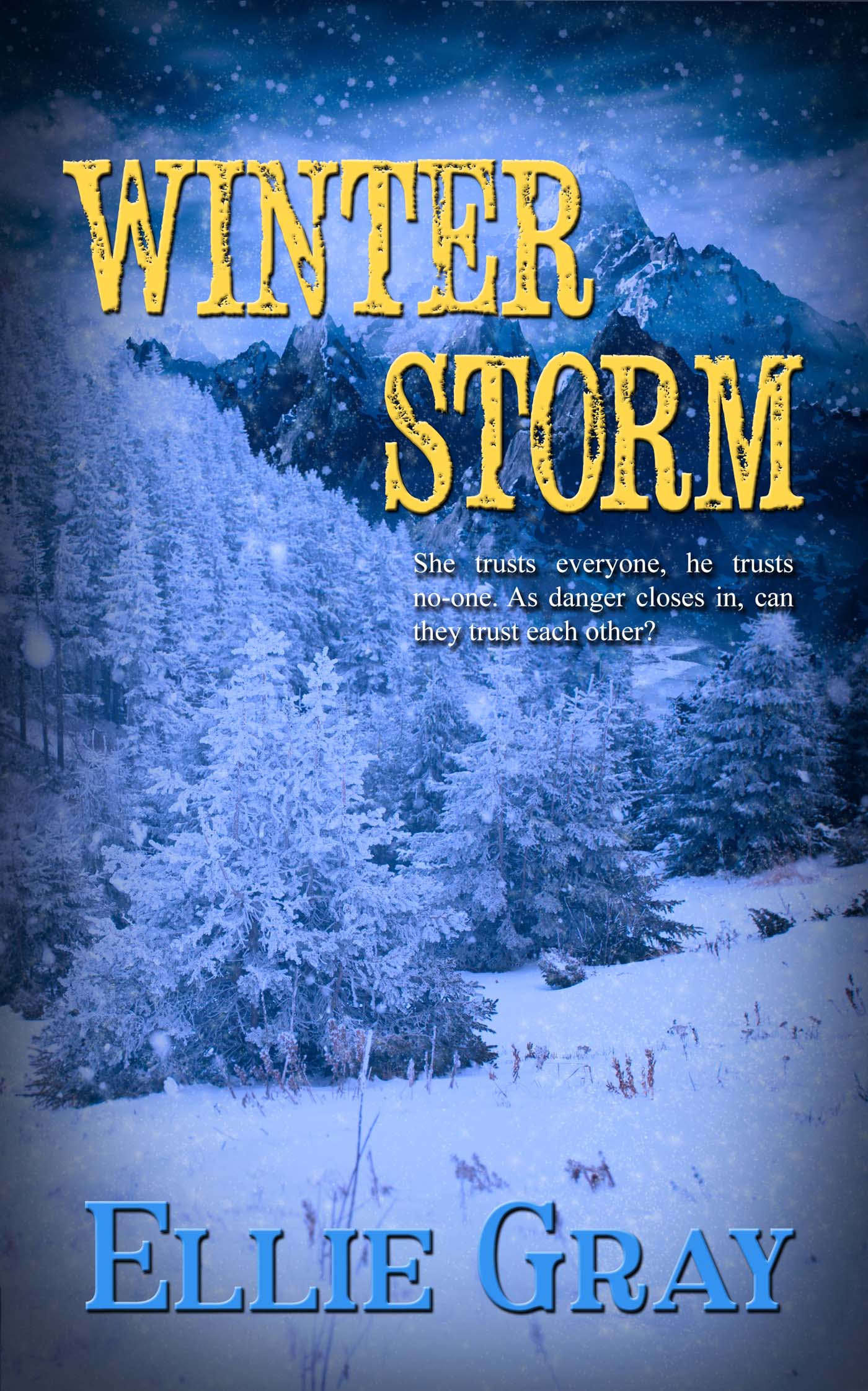 Winter Storm by Ellie Gray | Goodreads