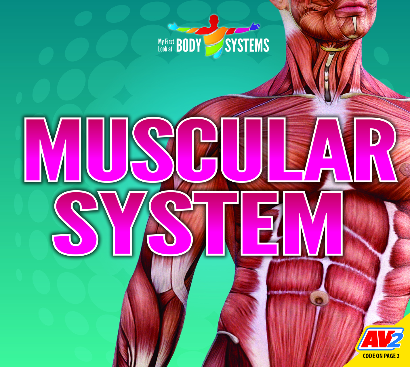 Muscular System by Faith Woodland | Goodreads