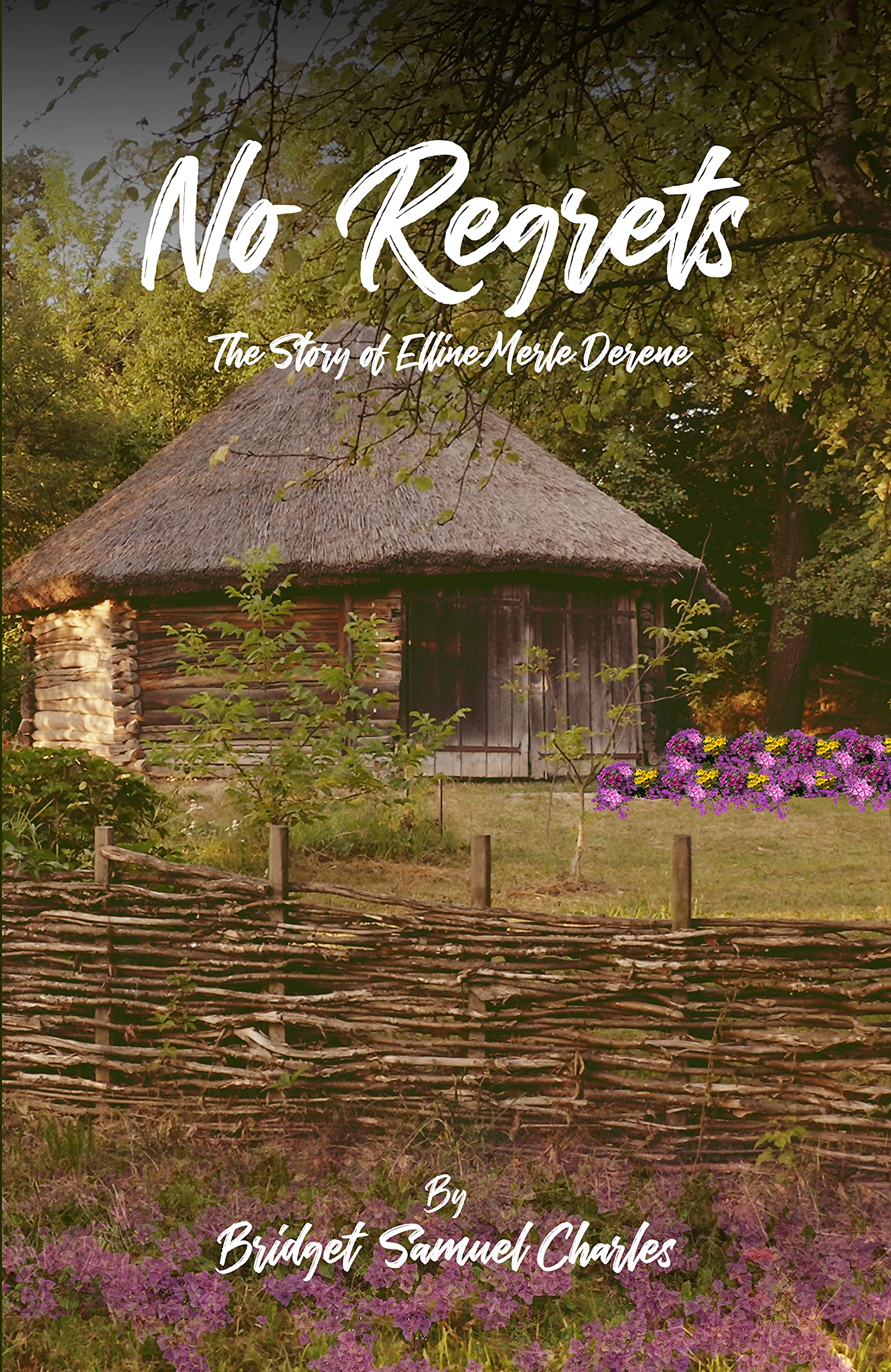 No Regrets by Bridget S Charles | Goodreads