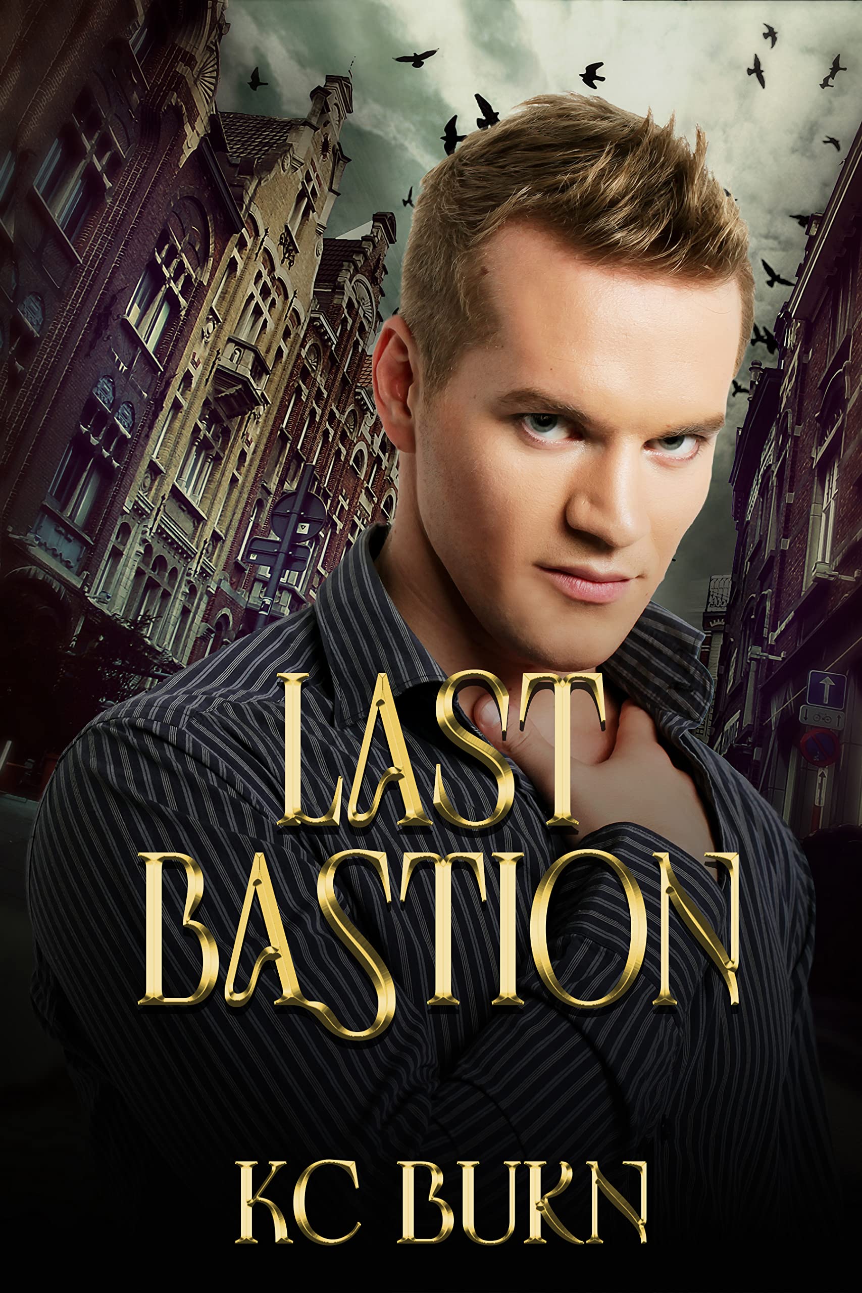 Last Bastion By K C Burn Goodreads Last Bastion By K C Burn Goodreads