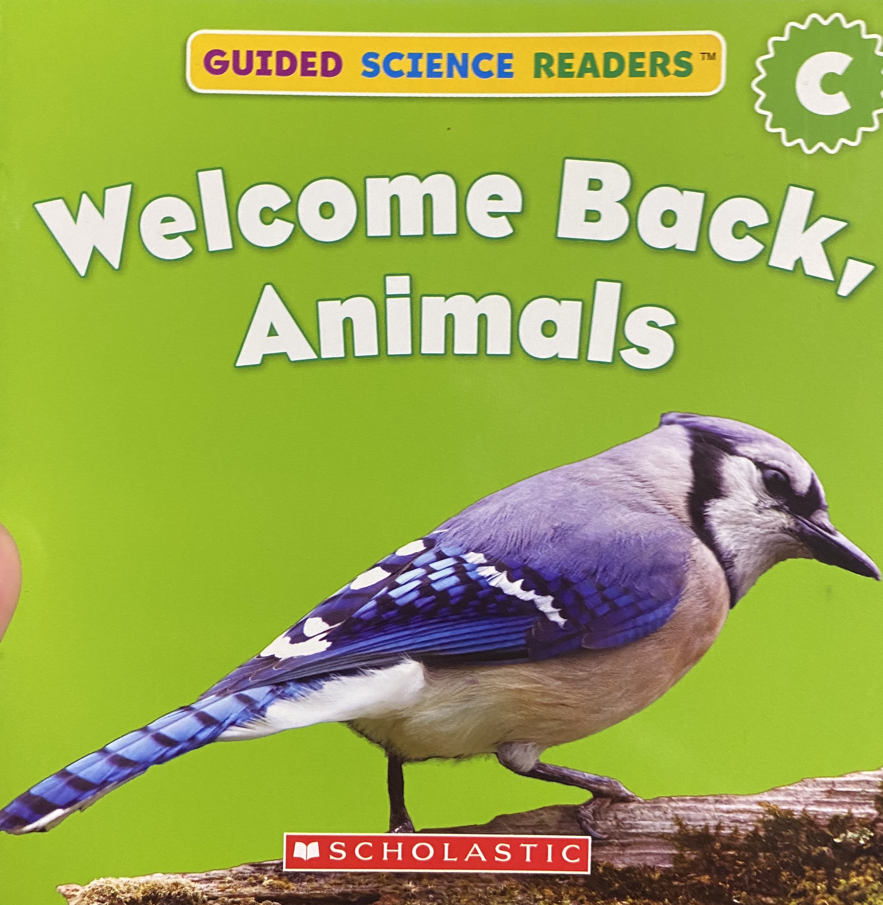 Welcome Back, Animals by Ted Cortese | Goodreads