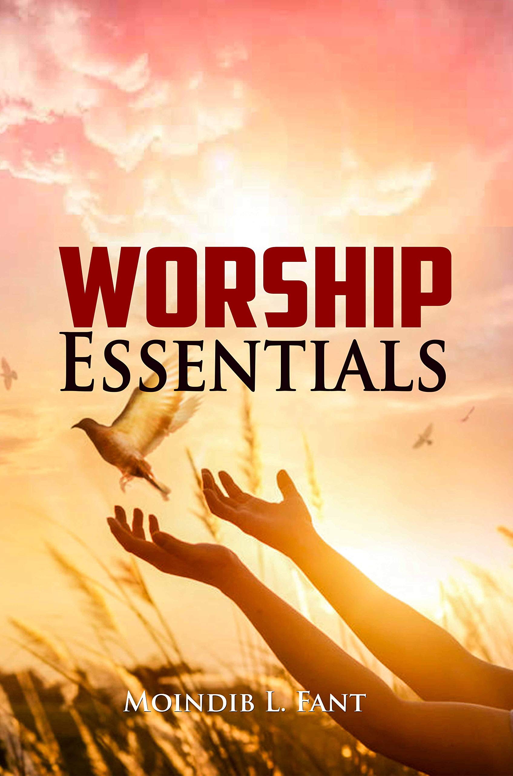 Worship Essentials by Moindib Fant | Goodreads