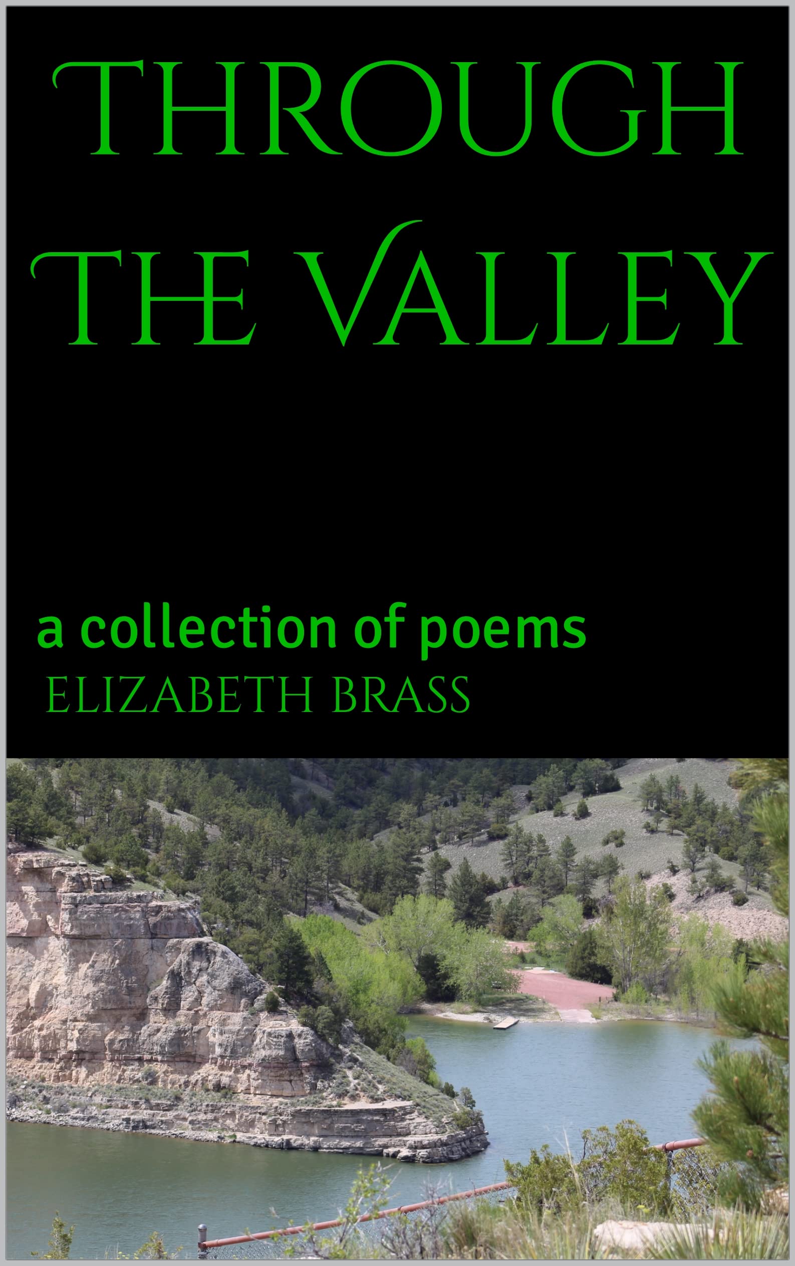 Through The Valley: a collection of poems by Elizabeth Brass | Goodreads