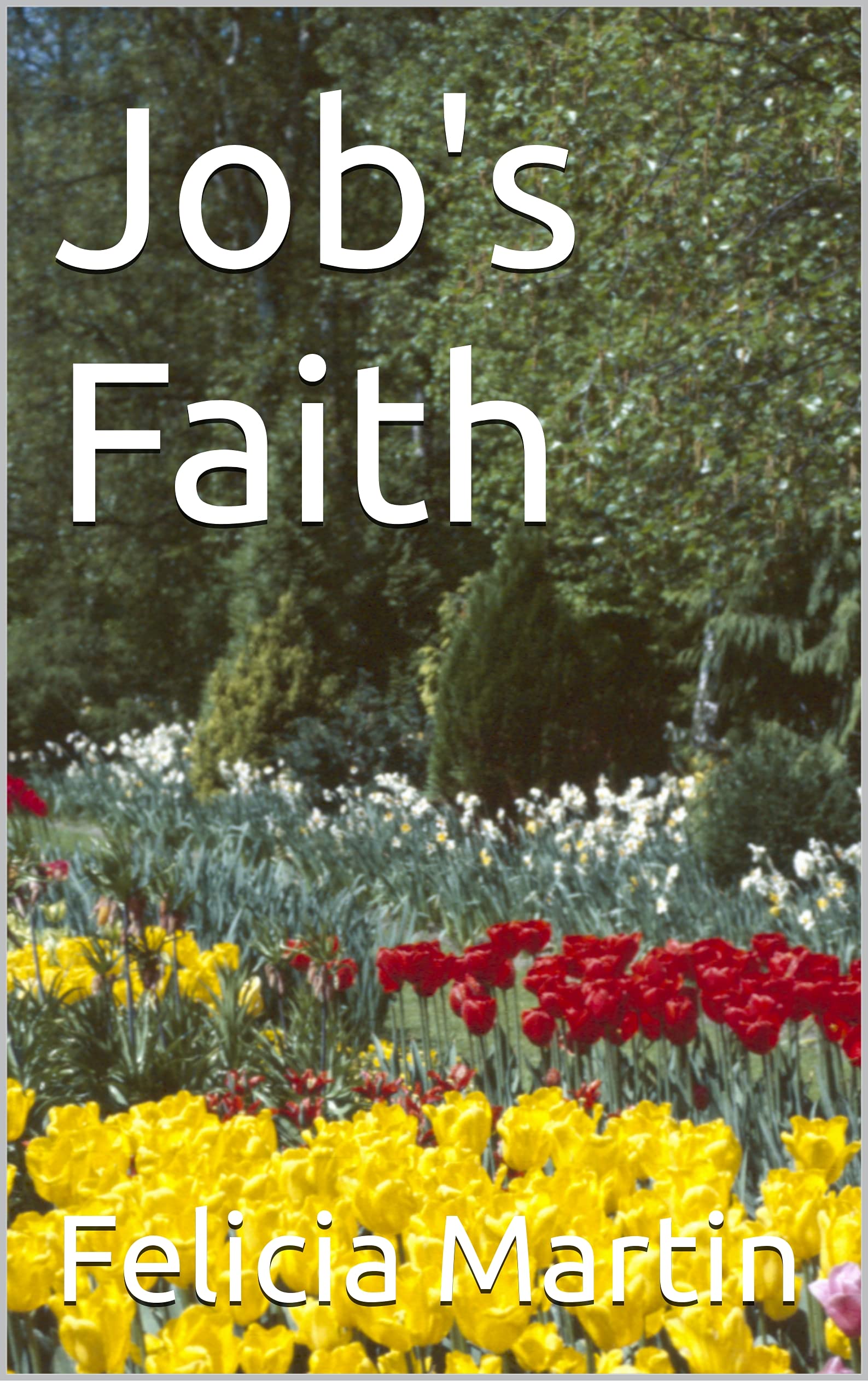 Job's Faith (Job’s Faith Book 1) by Felicia Martin | Goodreads