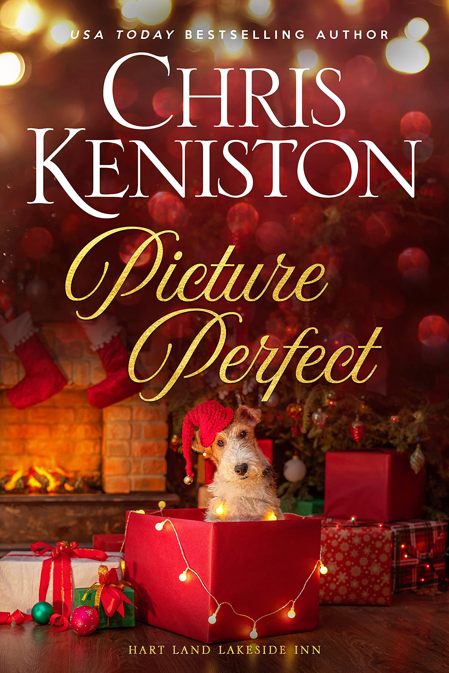 Picture Perfect by Chris Keniston | Goodreads