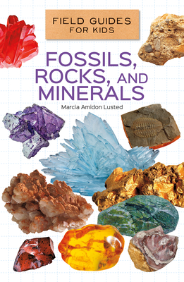 Fossils, Rocks, and Minerals (Field Guides) by Marcia Amidon Lusted ...