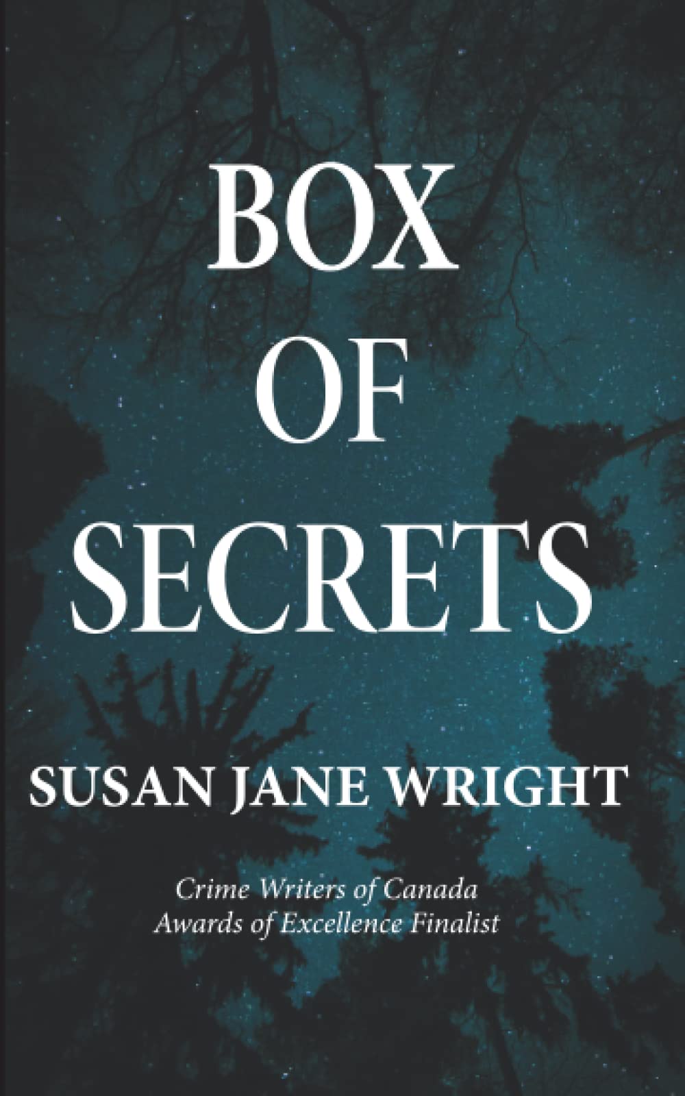 Box of Secrets: An Evie Valentine thriller by Susan Jane Wright | Goodreads