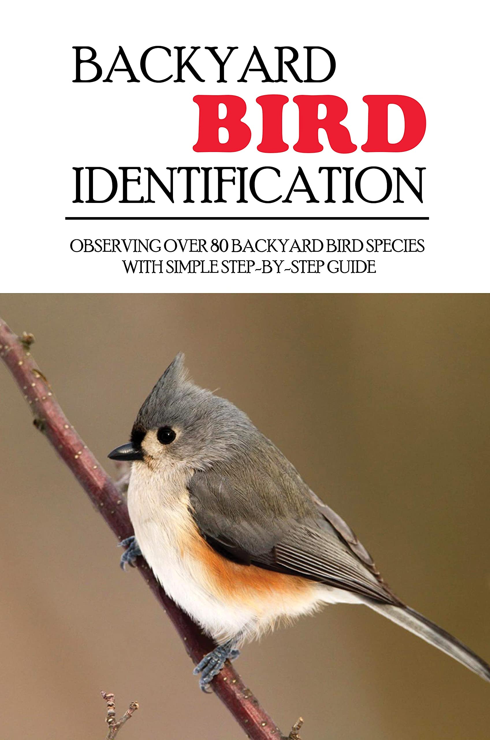 Backyard Bird Identification: Observing Over 80 Backyard Bird Species ...