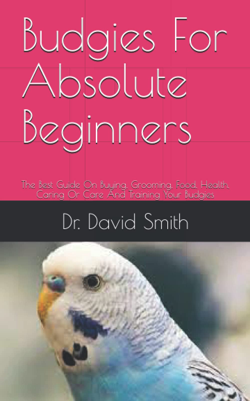 Budgies For Absolute Beginners: The Best Guide On Buying, Grooming ...