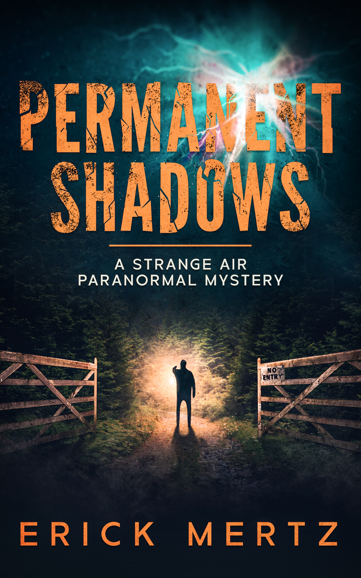 Permanent Shadows (The Strange Air #2) by Erick Mertz | Goodreads