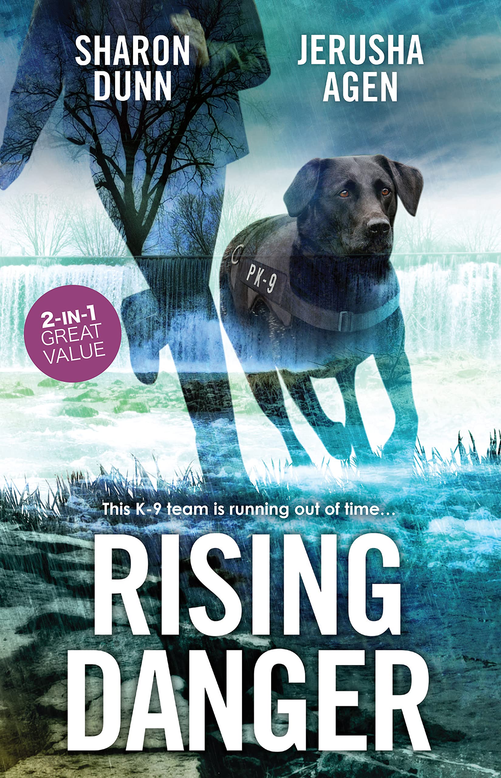 Rising Danger/Scene of the Crime / Rising Danger by Sharon Dunn | Goodreads