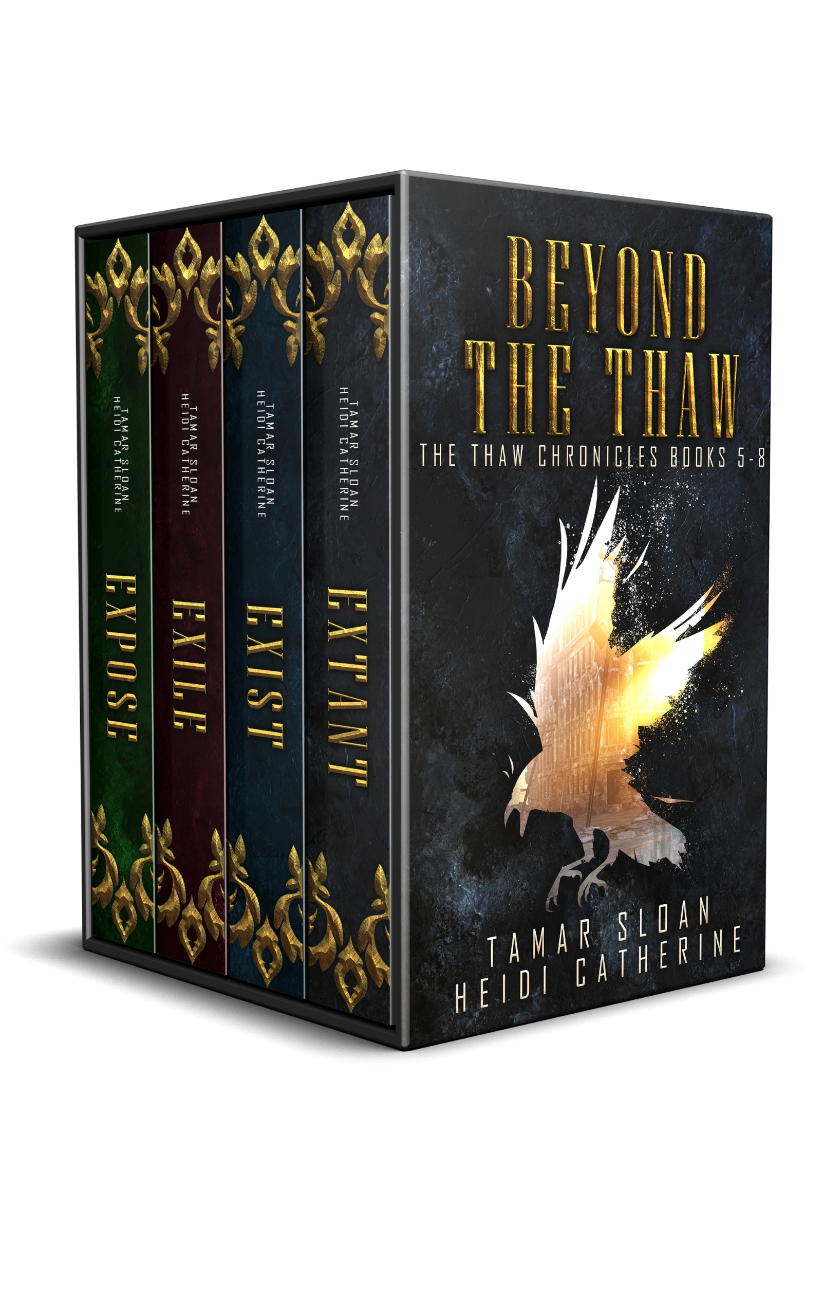 Beyond the Thaw Box Set: The Thaw Chronicles Books 5-8 by Tamar Sloan ...