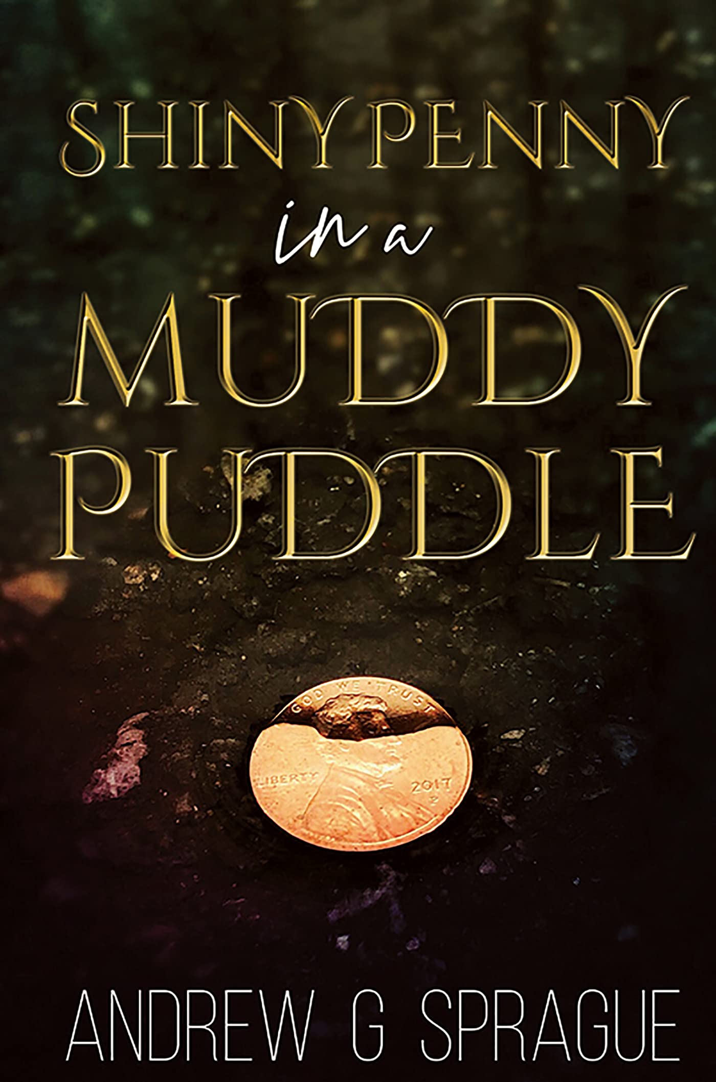 Shiny Penny in a Muddy Puddle by Andrew G Sprague | Goodreads