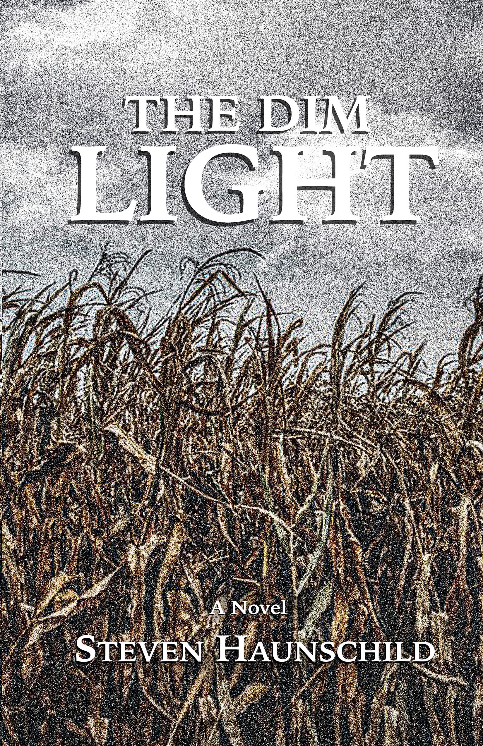 The Dim Light by Steven Haunschild | Goodreads