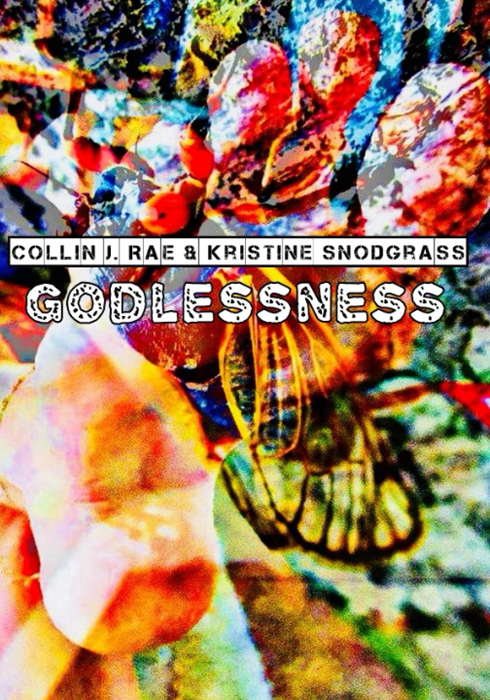 Godlessness by Kristine Snodgrass | Goodreads