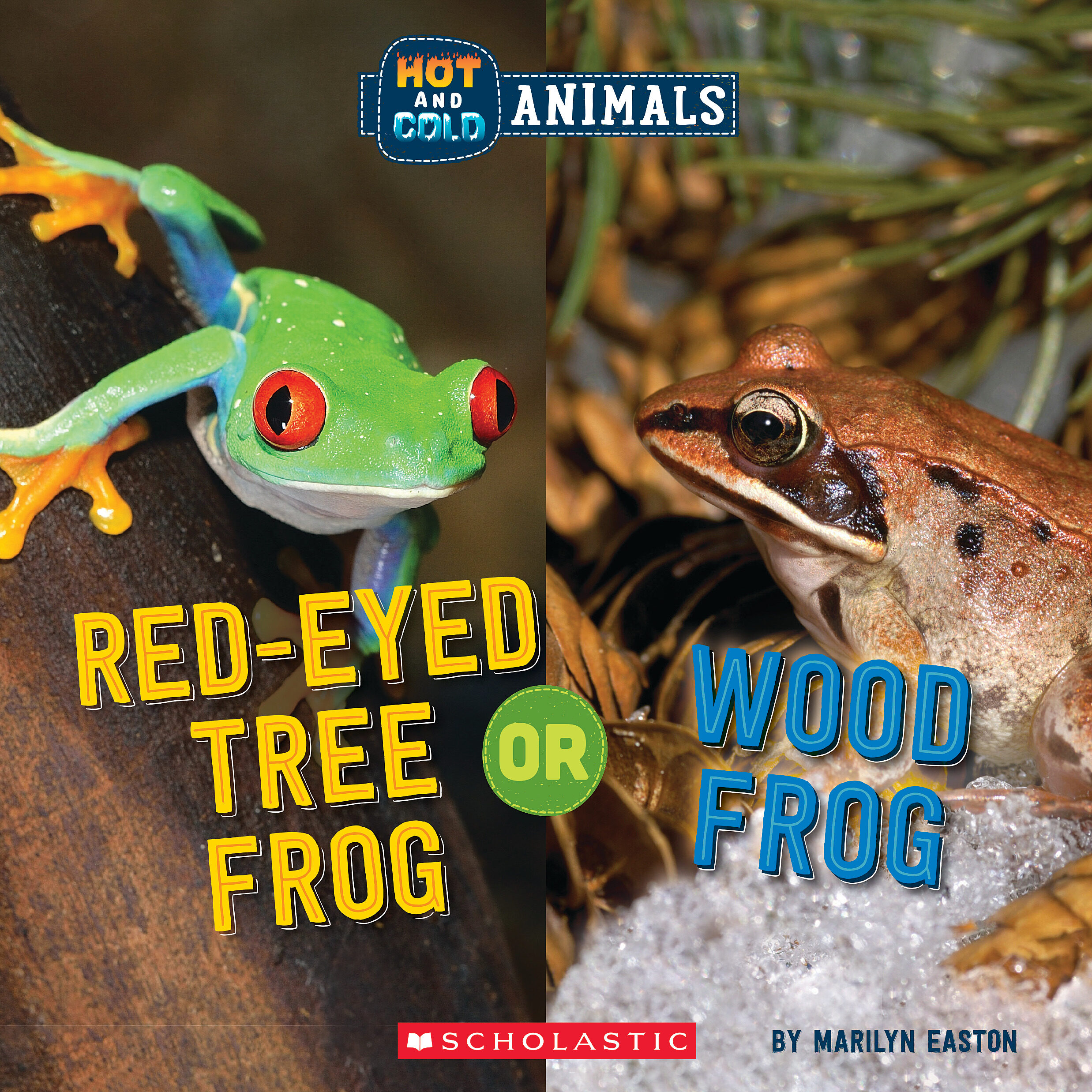 Red-Eyed Tree Frog or Wood Frog by Marilyn Easton | Goodreads
