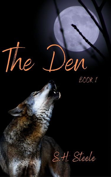 The Den (The Den #1) by S.H. Steele | Goodreads