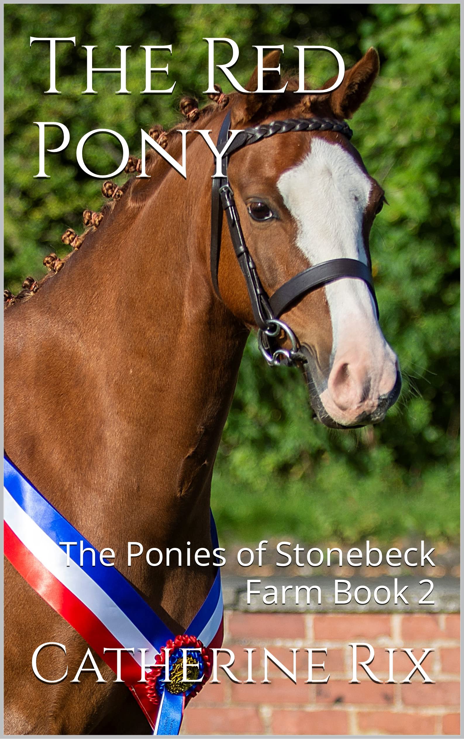 The Red Pony: The Ponies of Stonebeck farm Book 2 by Catherine Rix ...