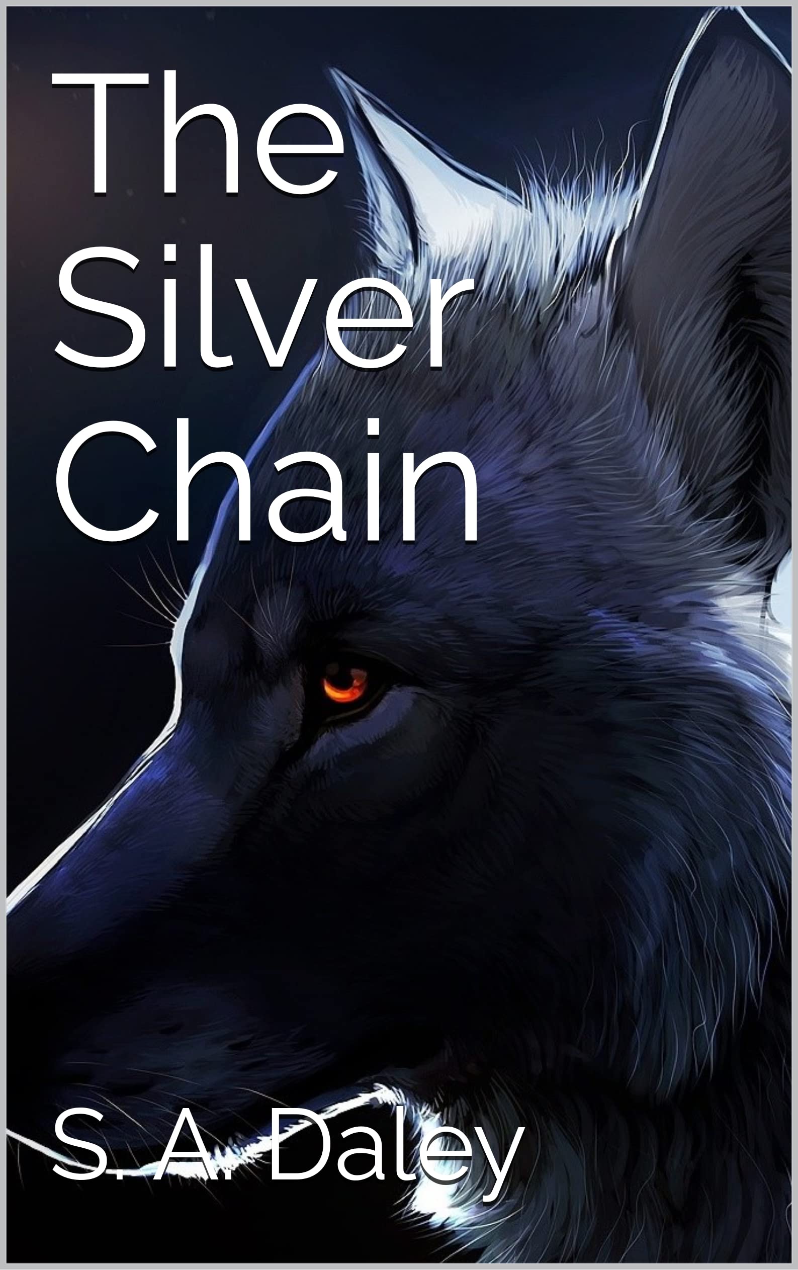 The Silver Chain (The Silver Trilogy Book 1) by Sheri Ann | Goodreads