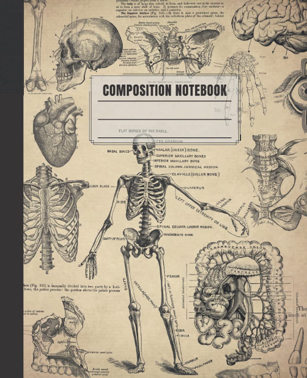 Vintage Human Anatomy Composition Notebook: College-Ruled Book, 110 ...