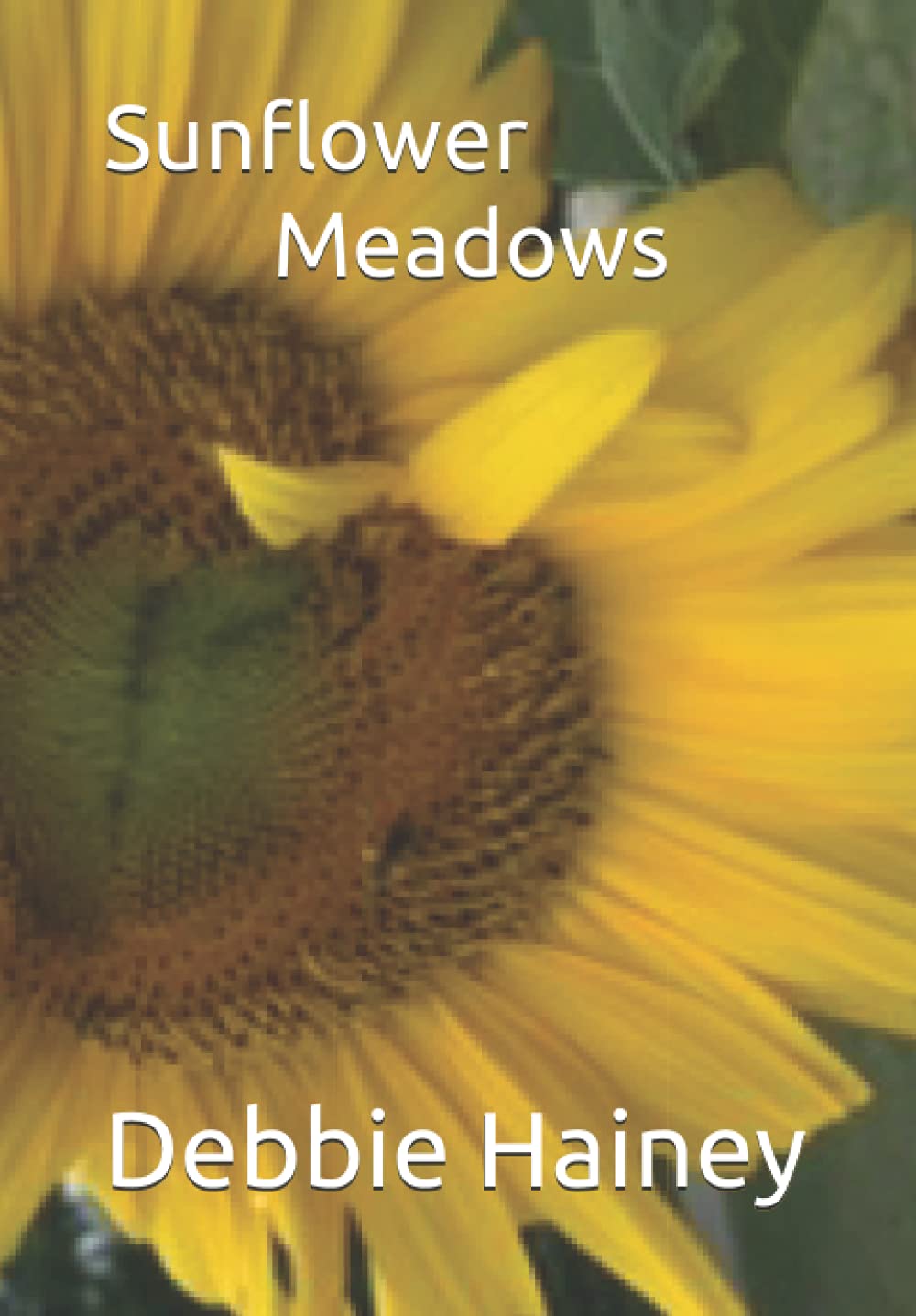 Sunflower Meadows by Debbie Ann Hainey | Goodreads