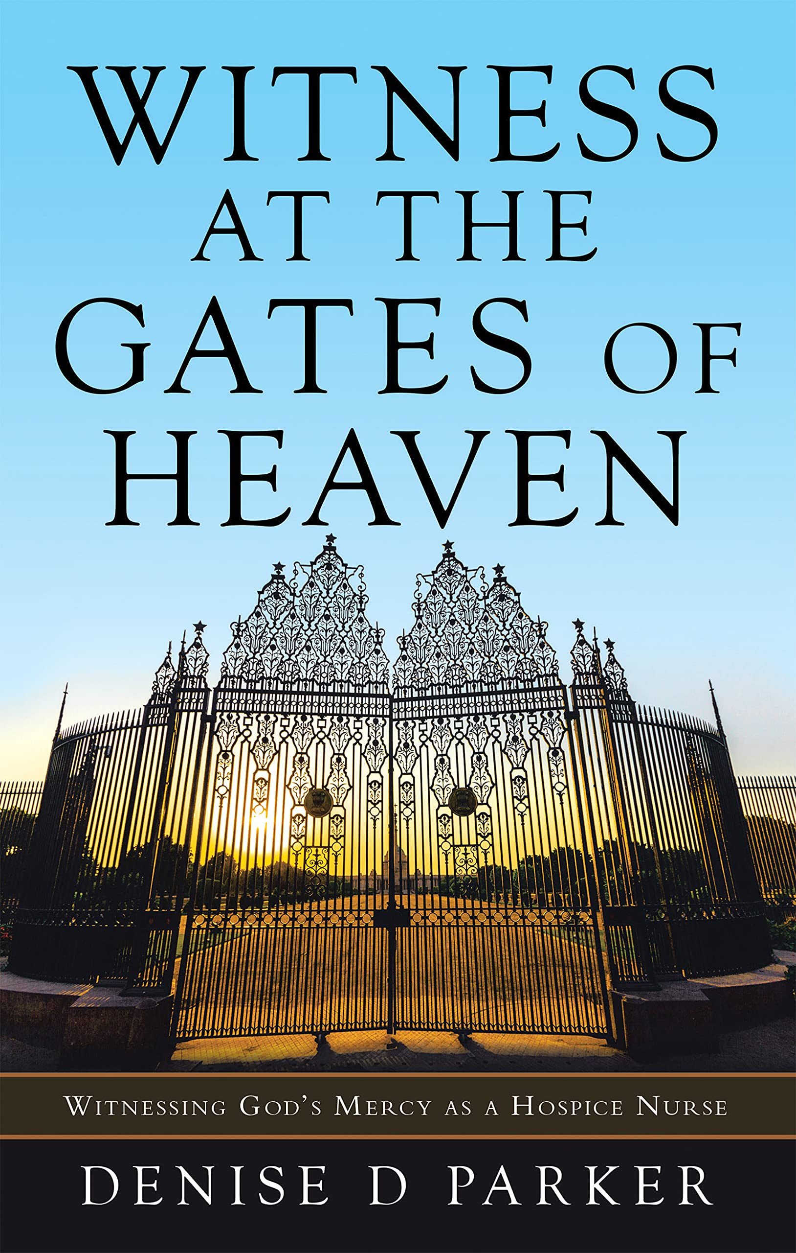 Witness at the Gates of Heaven: Witnessing God’s Mercy as a Hospice ...