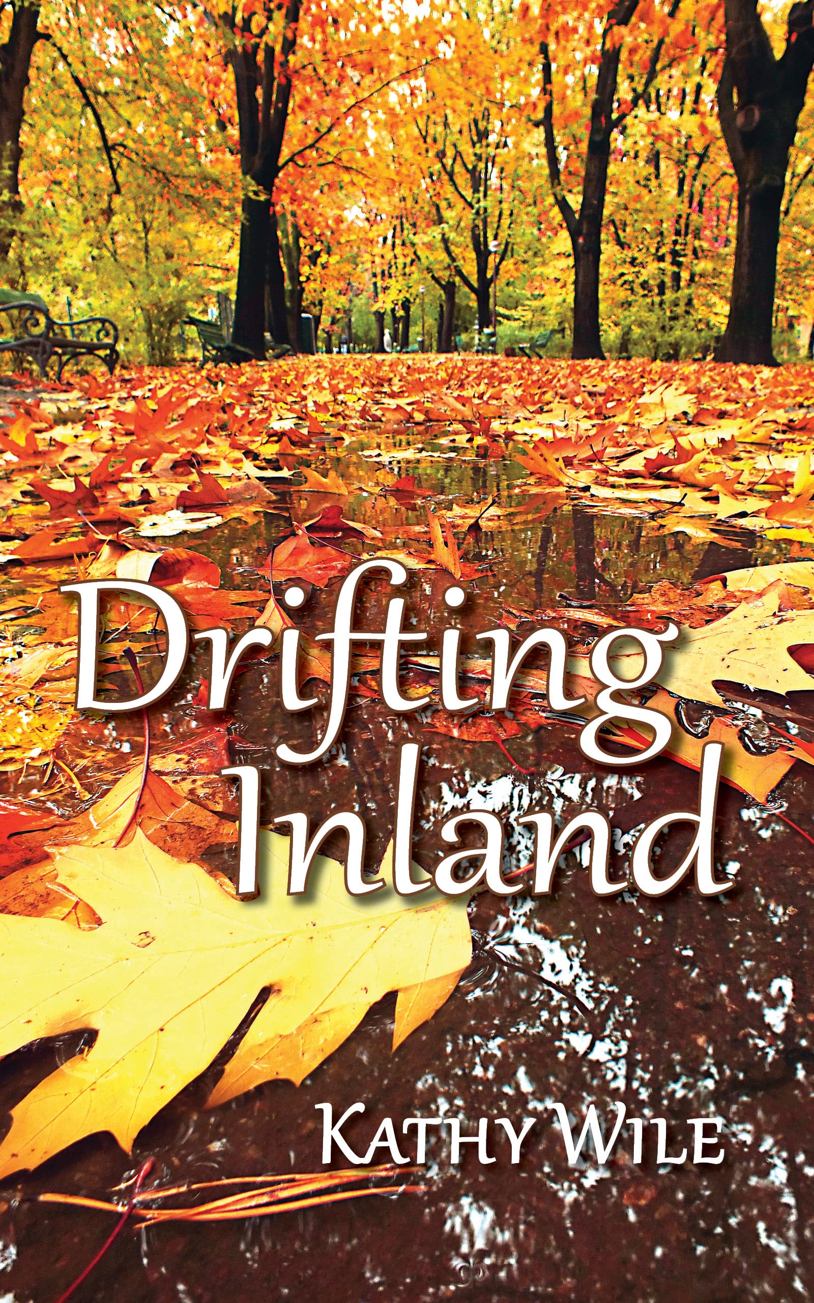 Drifting Inland (The Kate Adams Series Book 2) by Kathy Wile | Goodreads