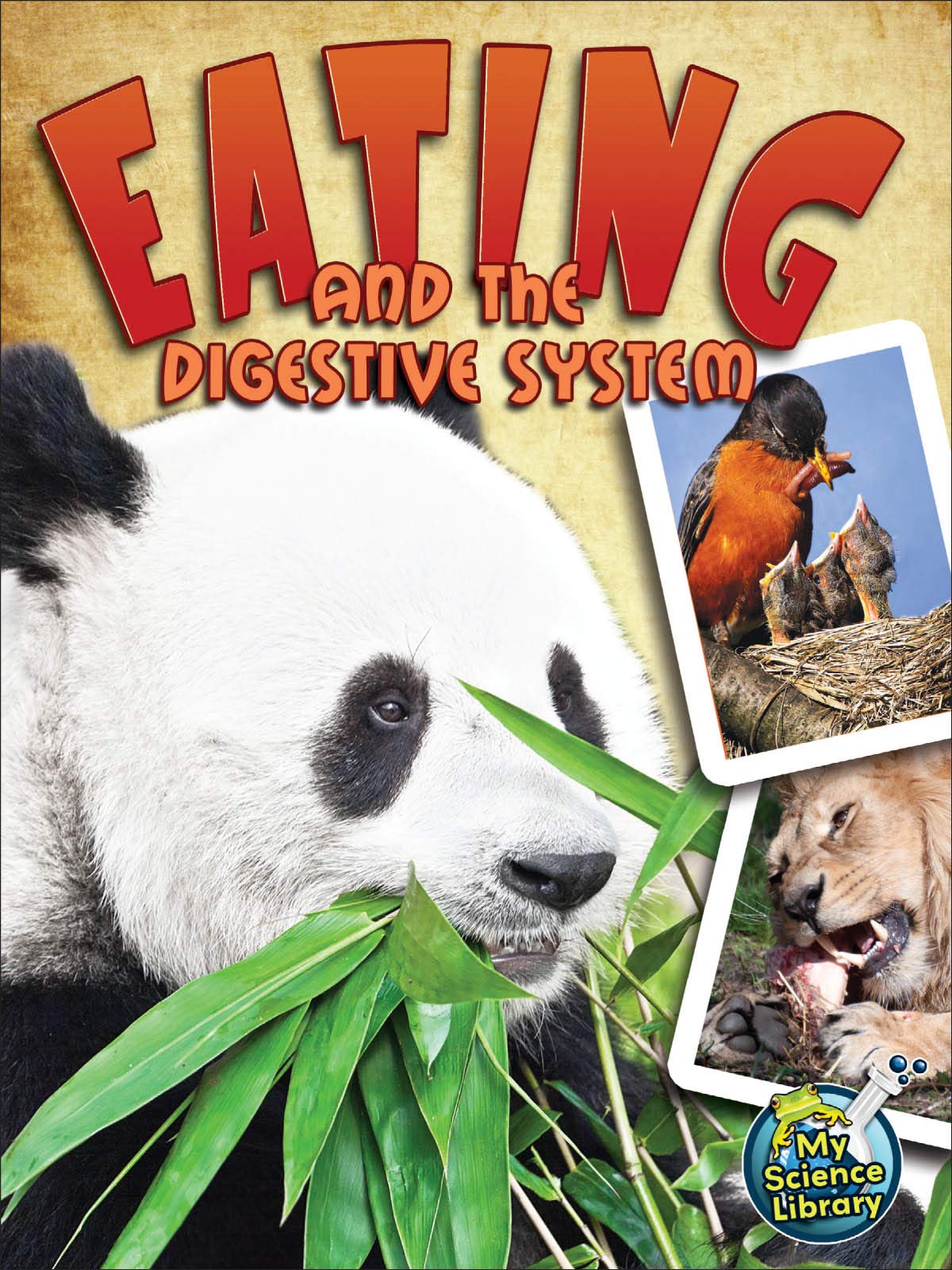 Rourke Educational Media Eating and The Digestive System by Julie ...