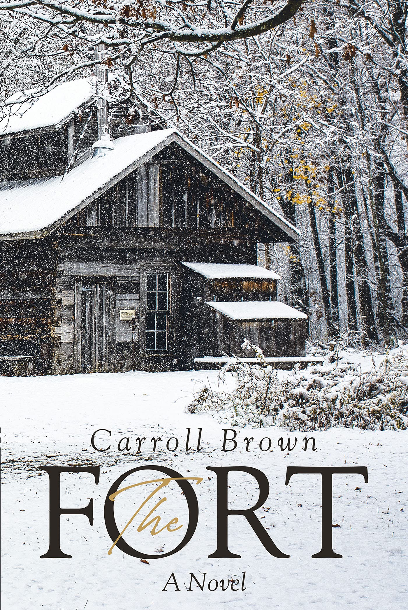 The Fort: A Novel by Carroll Brown | Goodreads