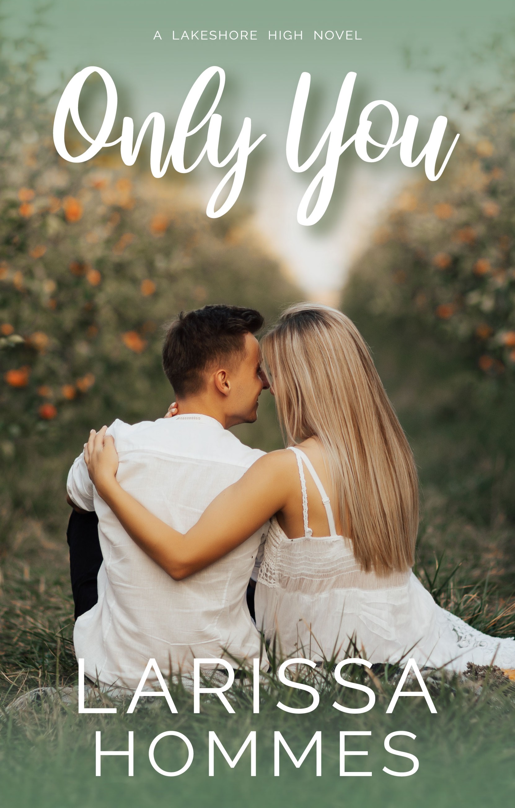 Only You (Lakeshore High, #1) by Larissa Hommes | Goodreads