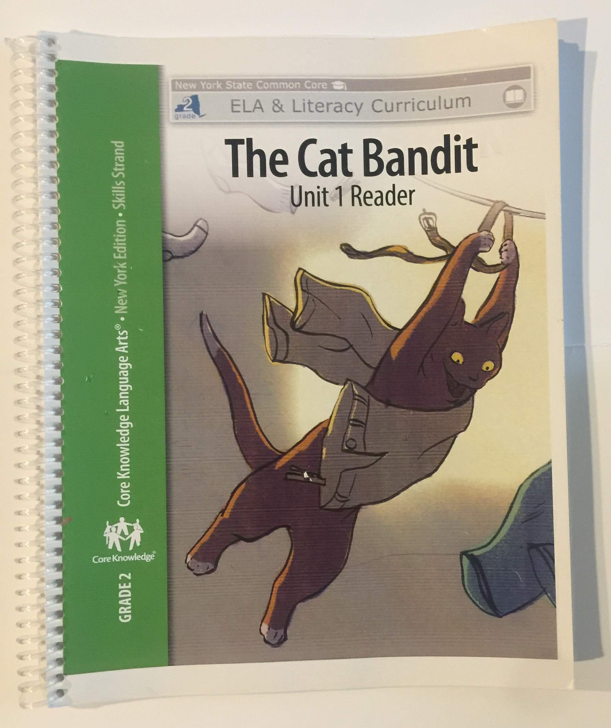 The Cat Bandit 2nd Grade Unit 1 Reader Skills Strand by Matt Davis ...