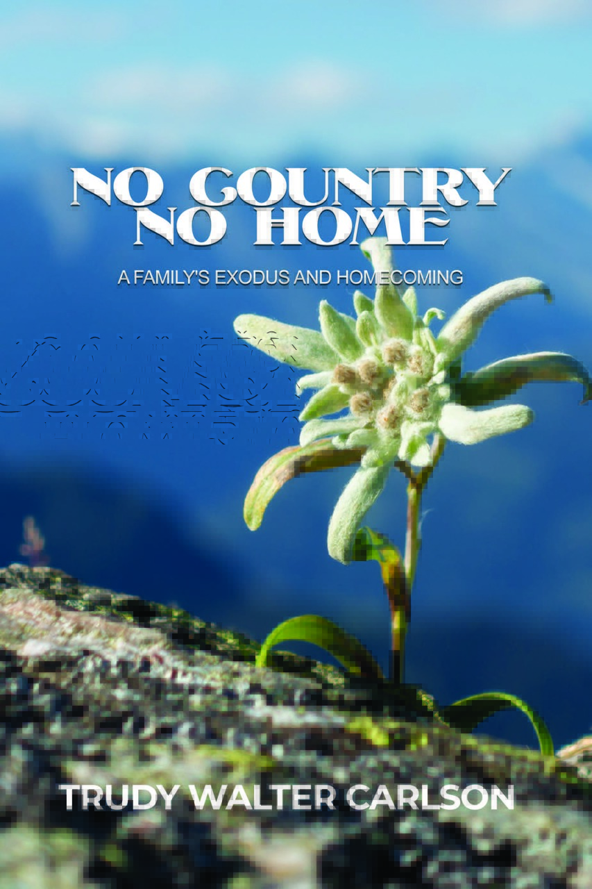 No Country No Home by Trudy Walter Carlson | Goodreads