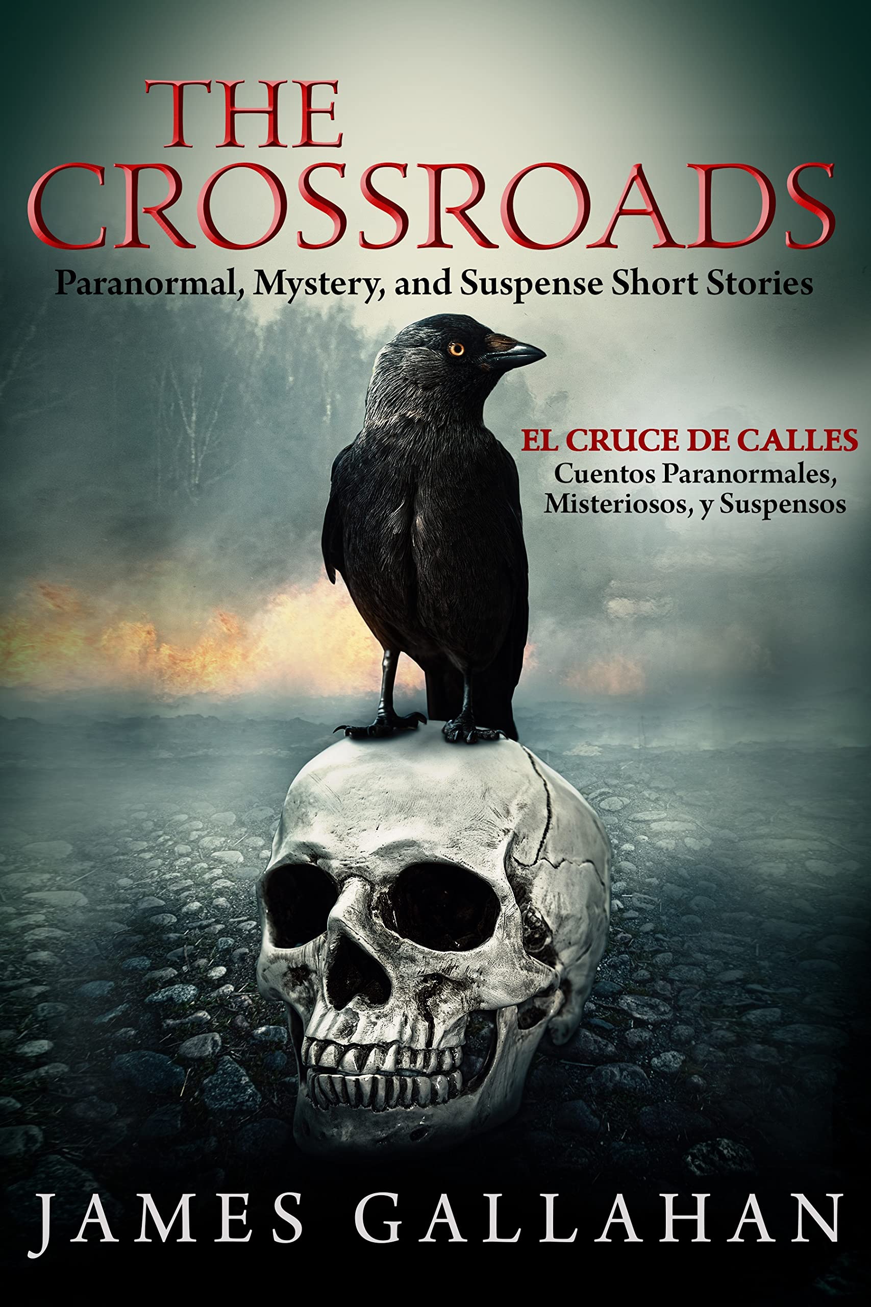 The Crossroads: Paranormal, Mystery, and Suspense Short Stories by ...