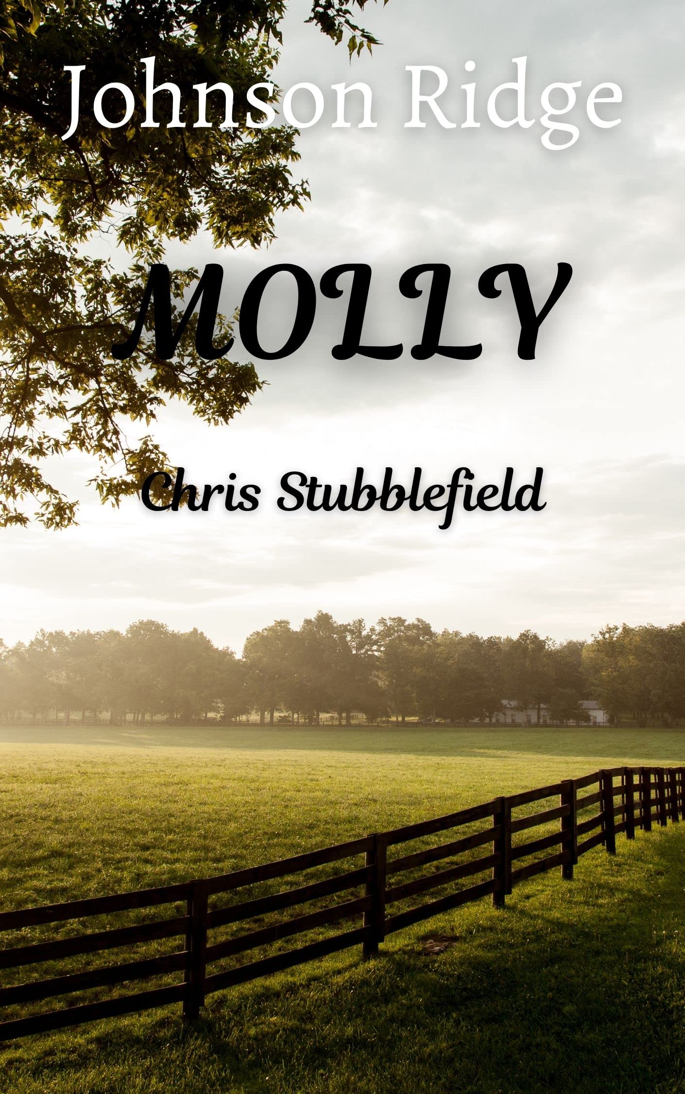 Molly (Johnson Ridge #2) by Chris Stubblefield | Goodreads